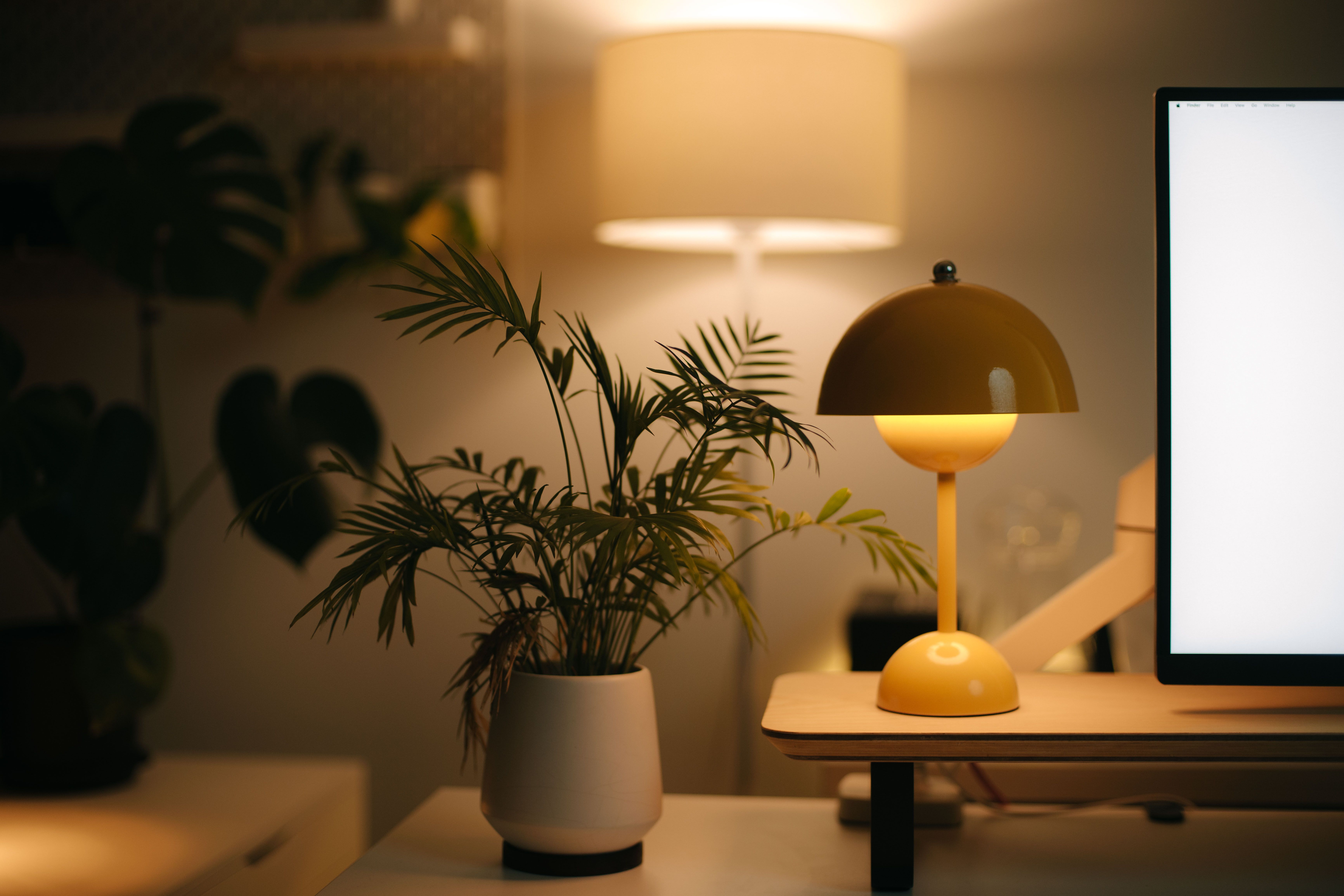 Cozy Home Office with Warm Lighting and Plants · Free Stock Photo