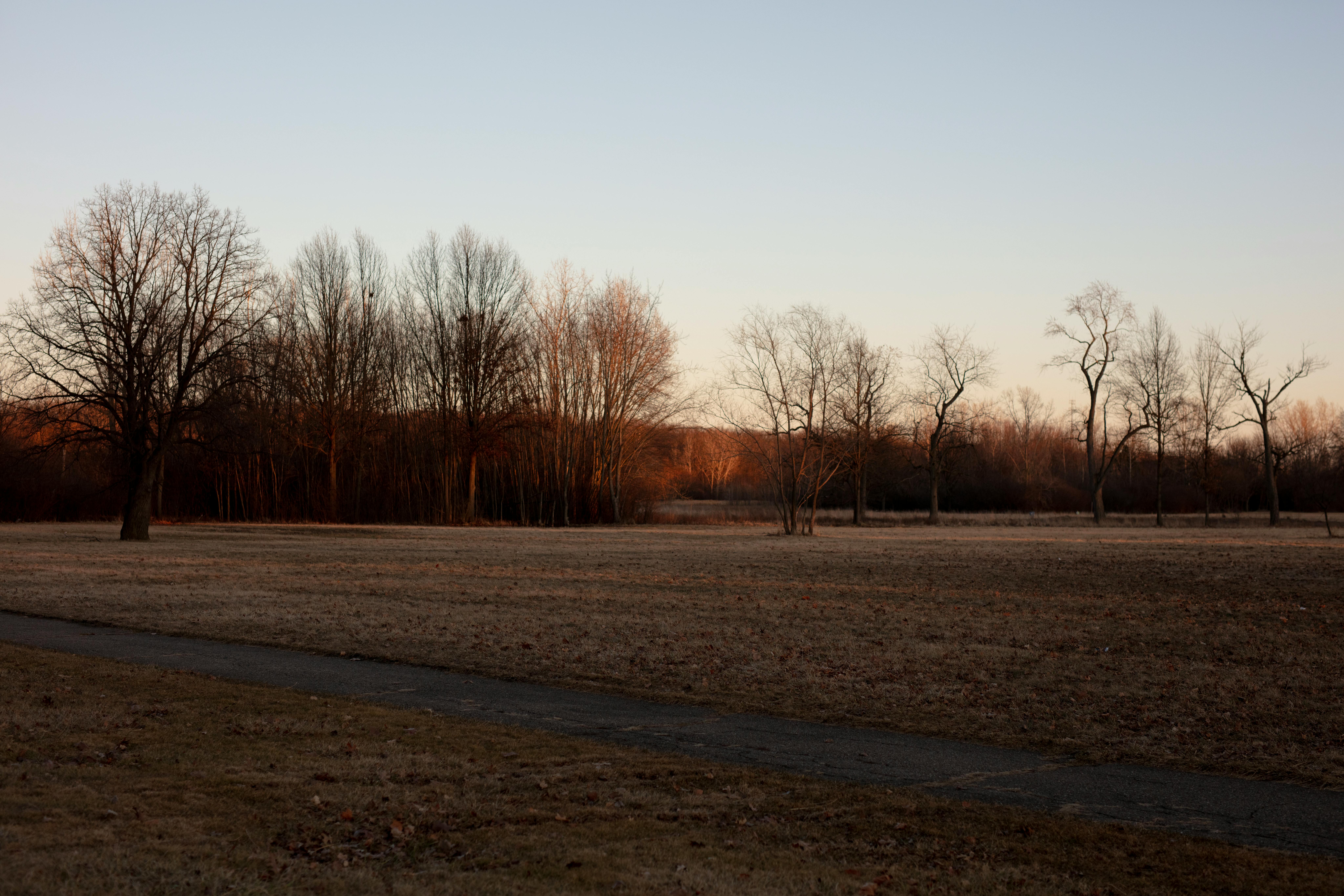 Sereno Paisaje Invernal En El Parque De Detroit · Foto de stock gratuita