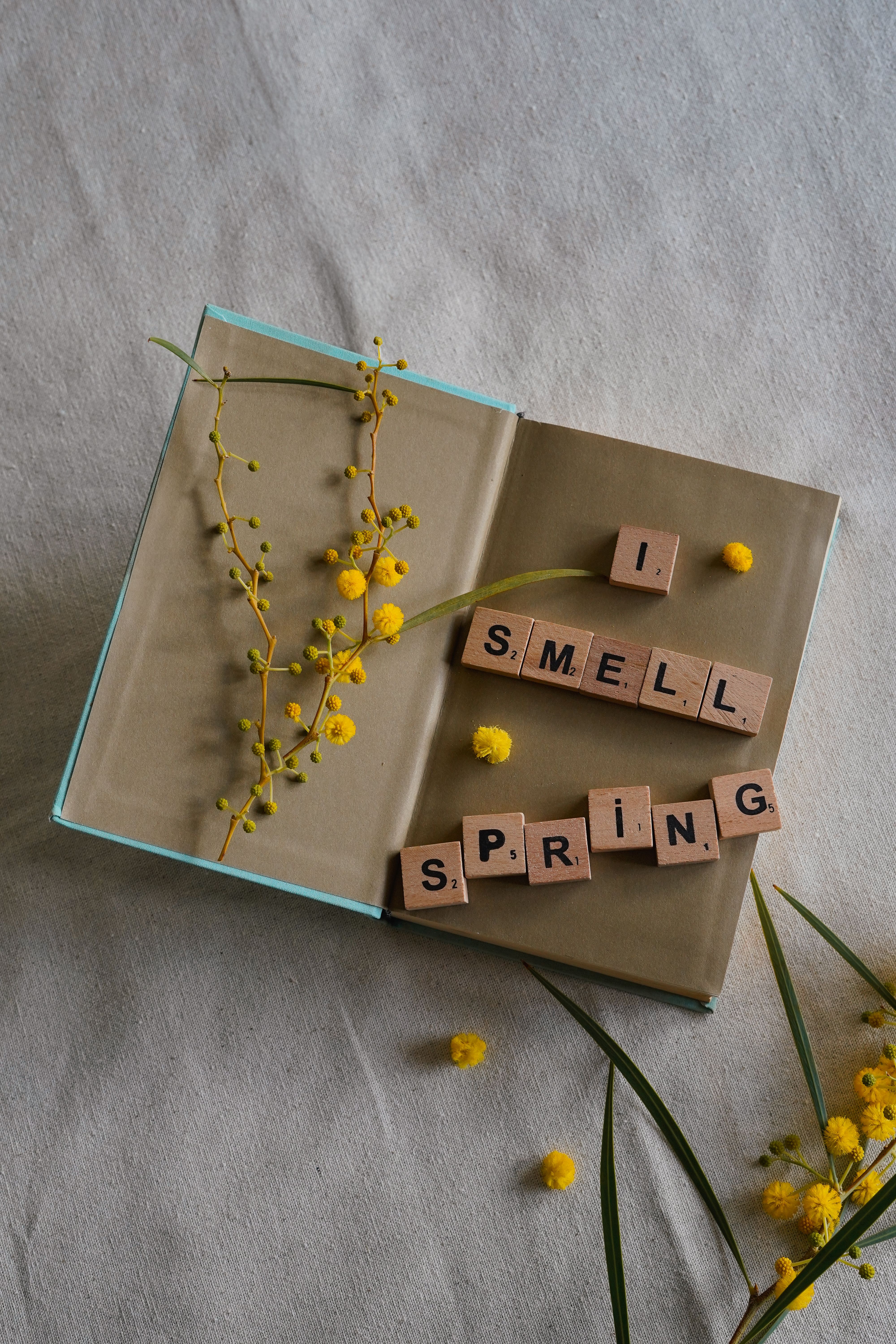 Springtime Flat Lay with Flowers and Letter Tiles · Free Stock Photo