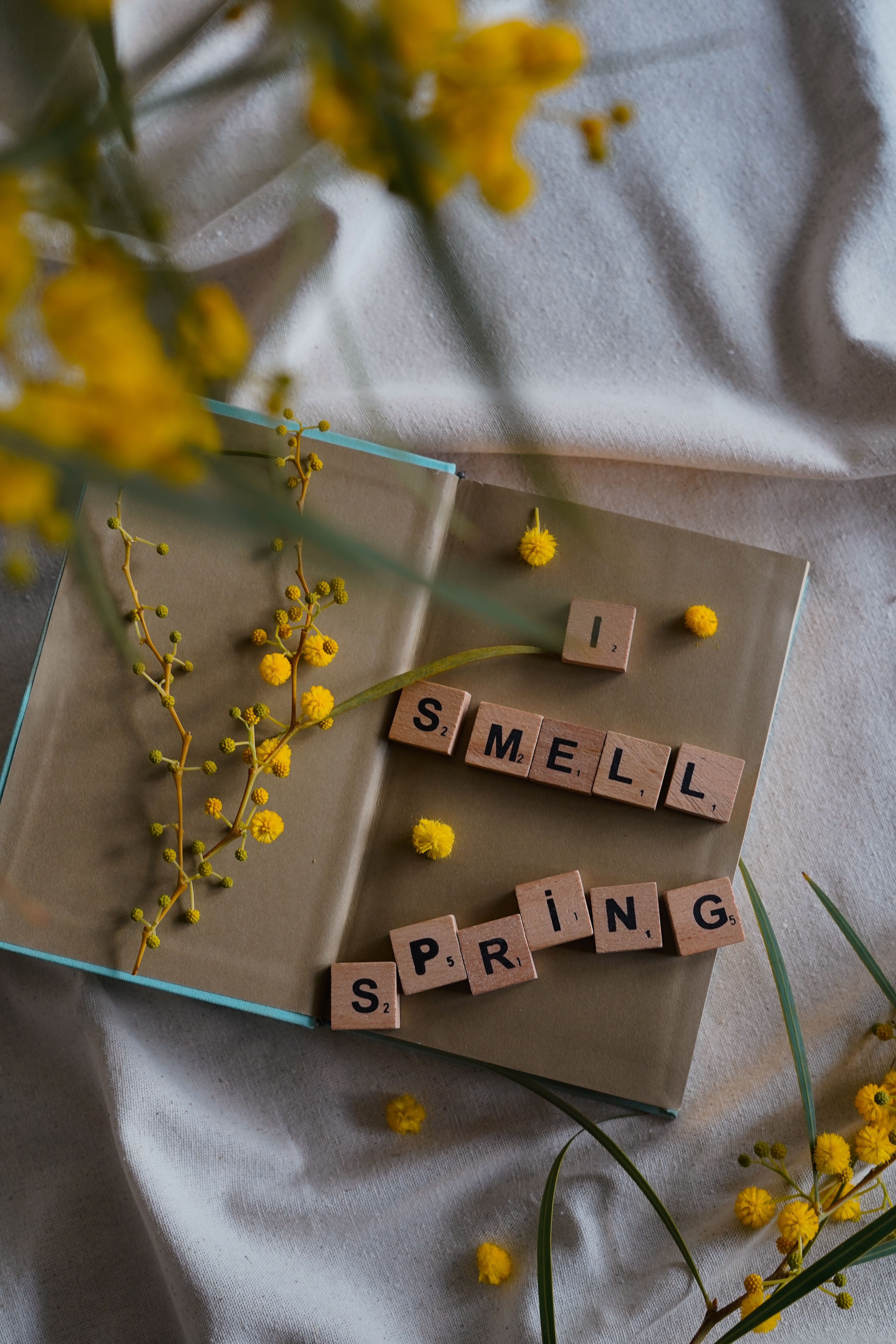 Spring Theme with Yellow Flowers and Scrabble Letters · Free Stock Photo