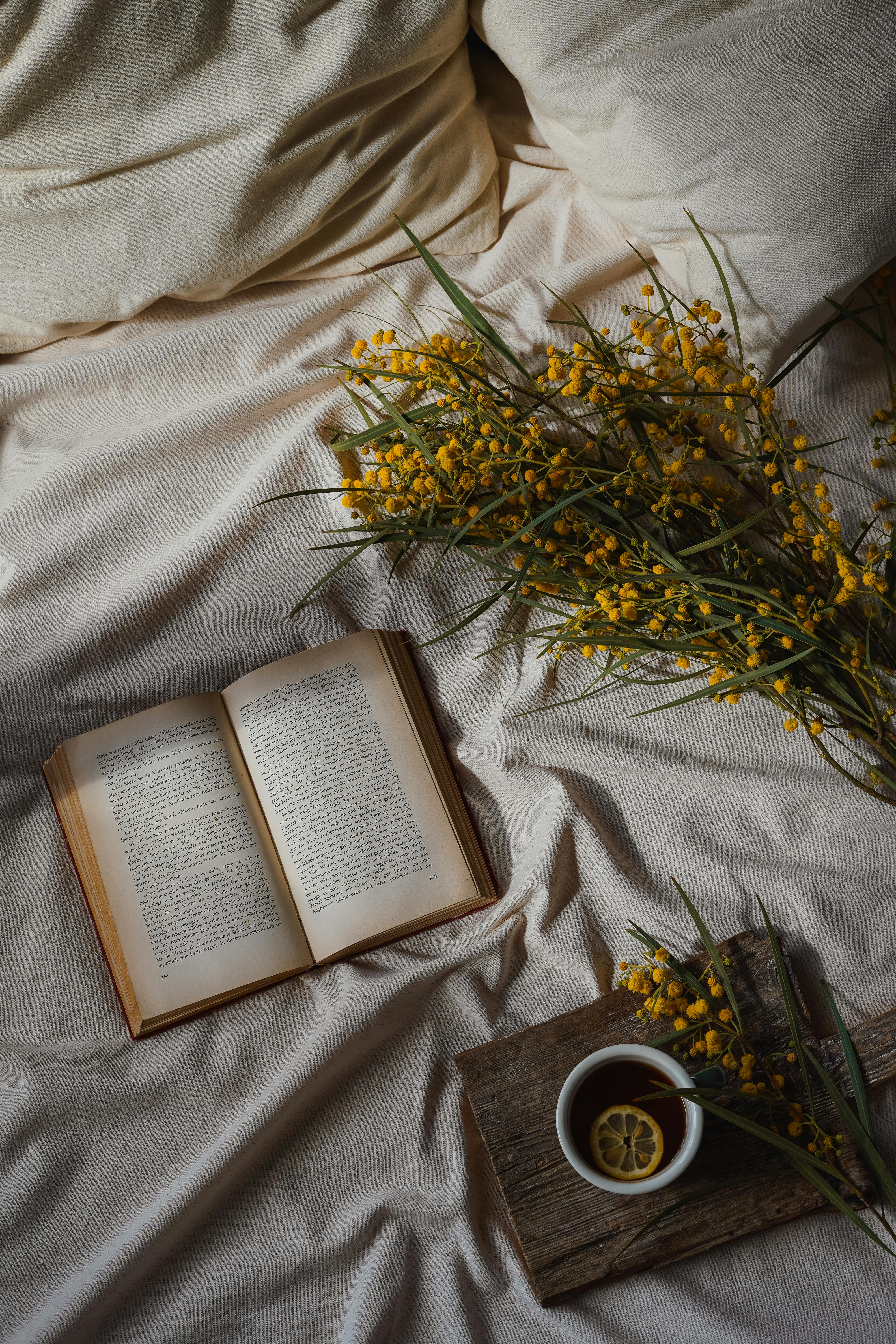 Cozy Morning with Book, Tea, and Flowers · Free Stock Photo