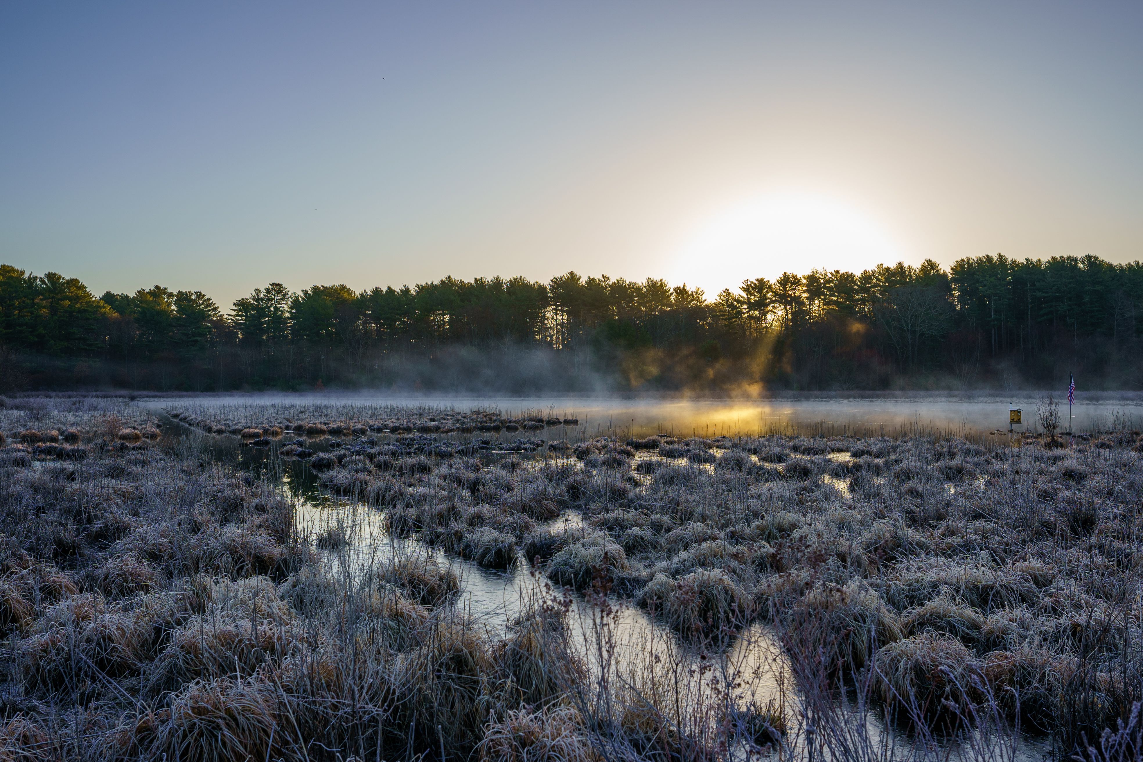 Serene Sunrise Over Frosty Marsh in Massachusetts · Free Stock Photo