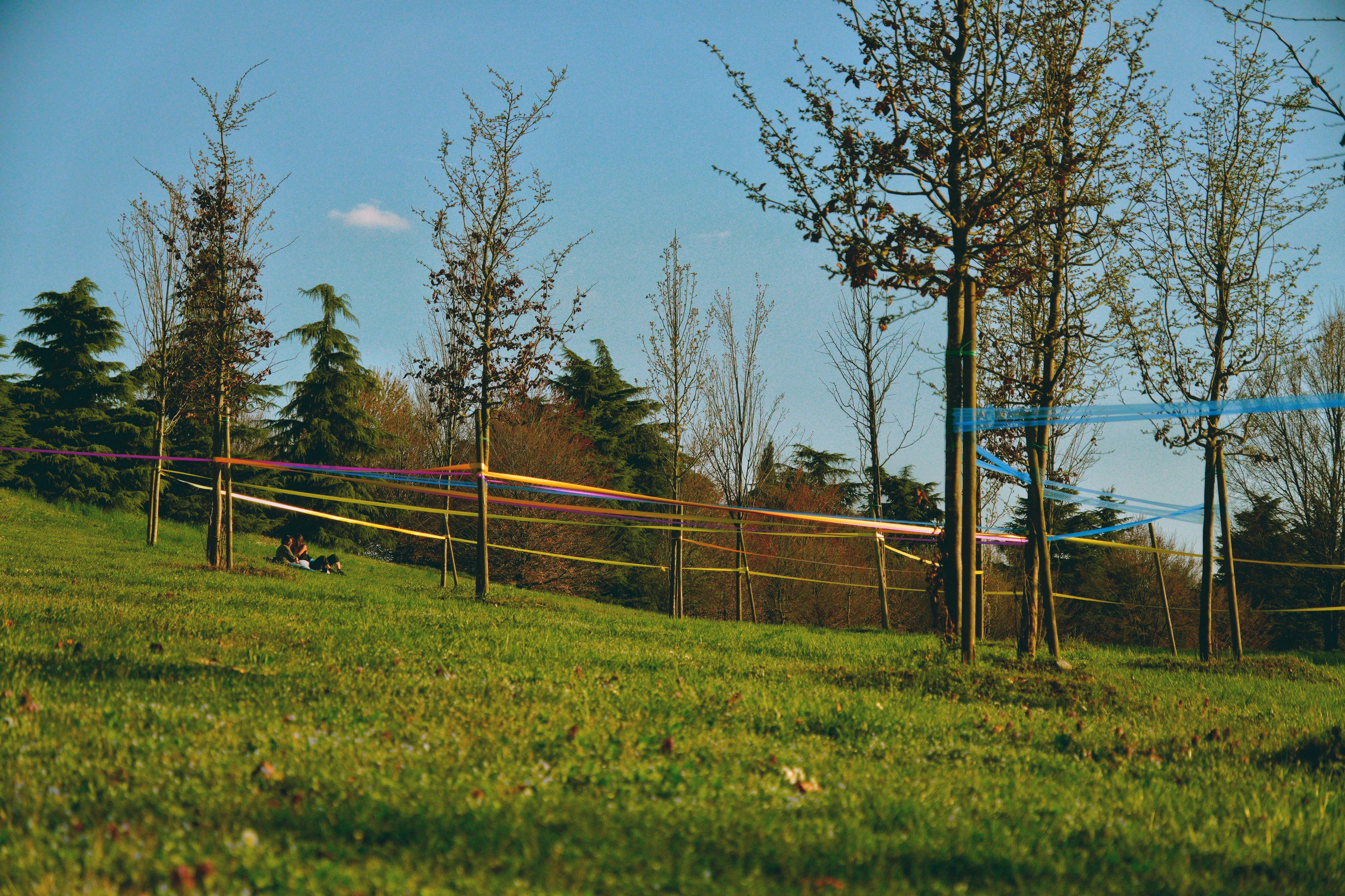 Surface Activator Photos, Download The BEST Free Surface Activator ...