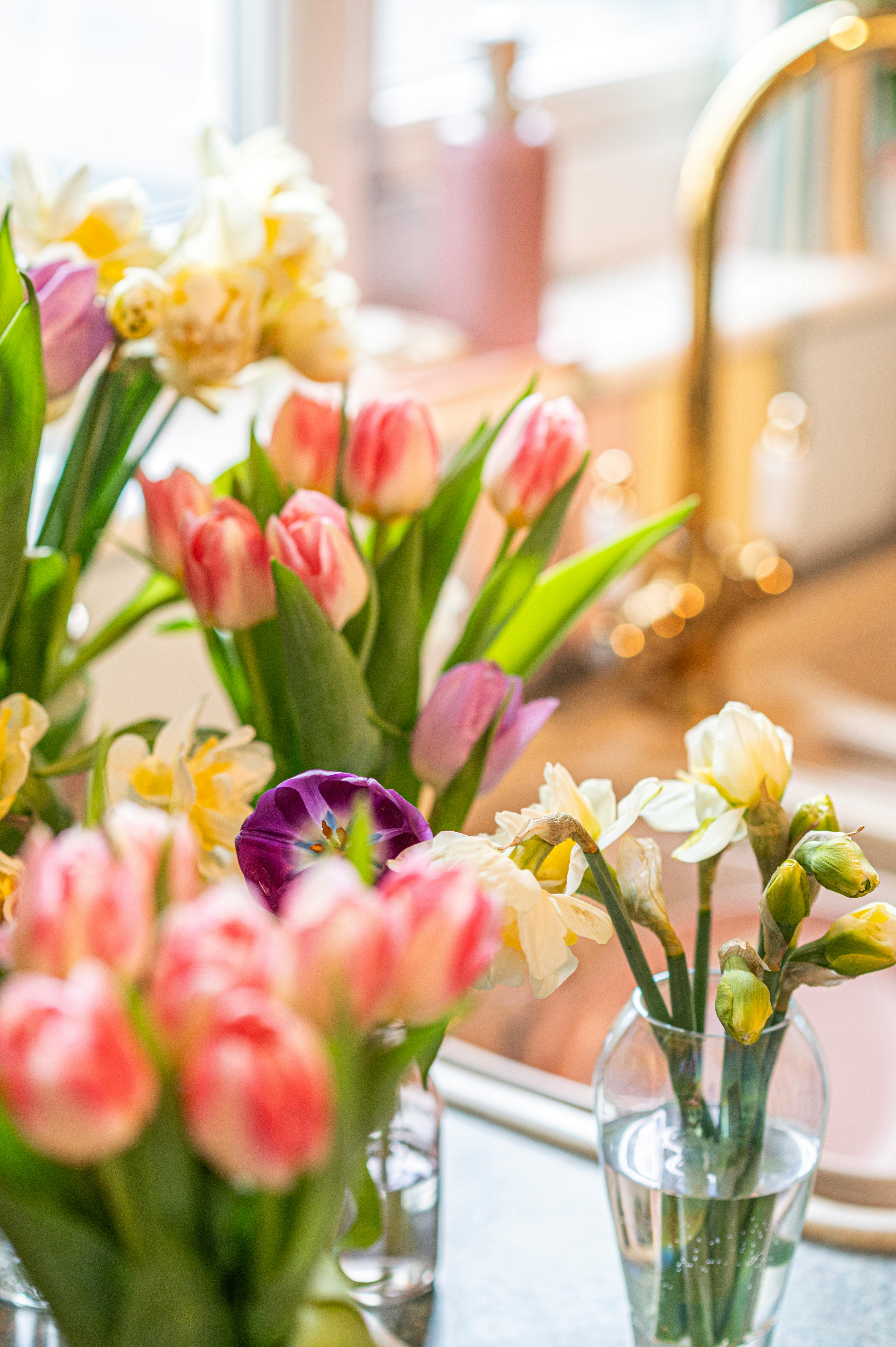 Vibrant Spring Tulips and Daffodils Arrangement · Free Stock Photo