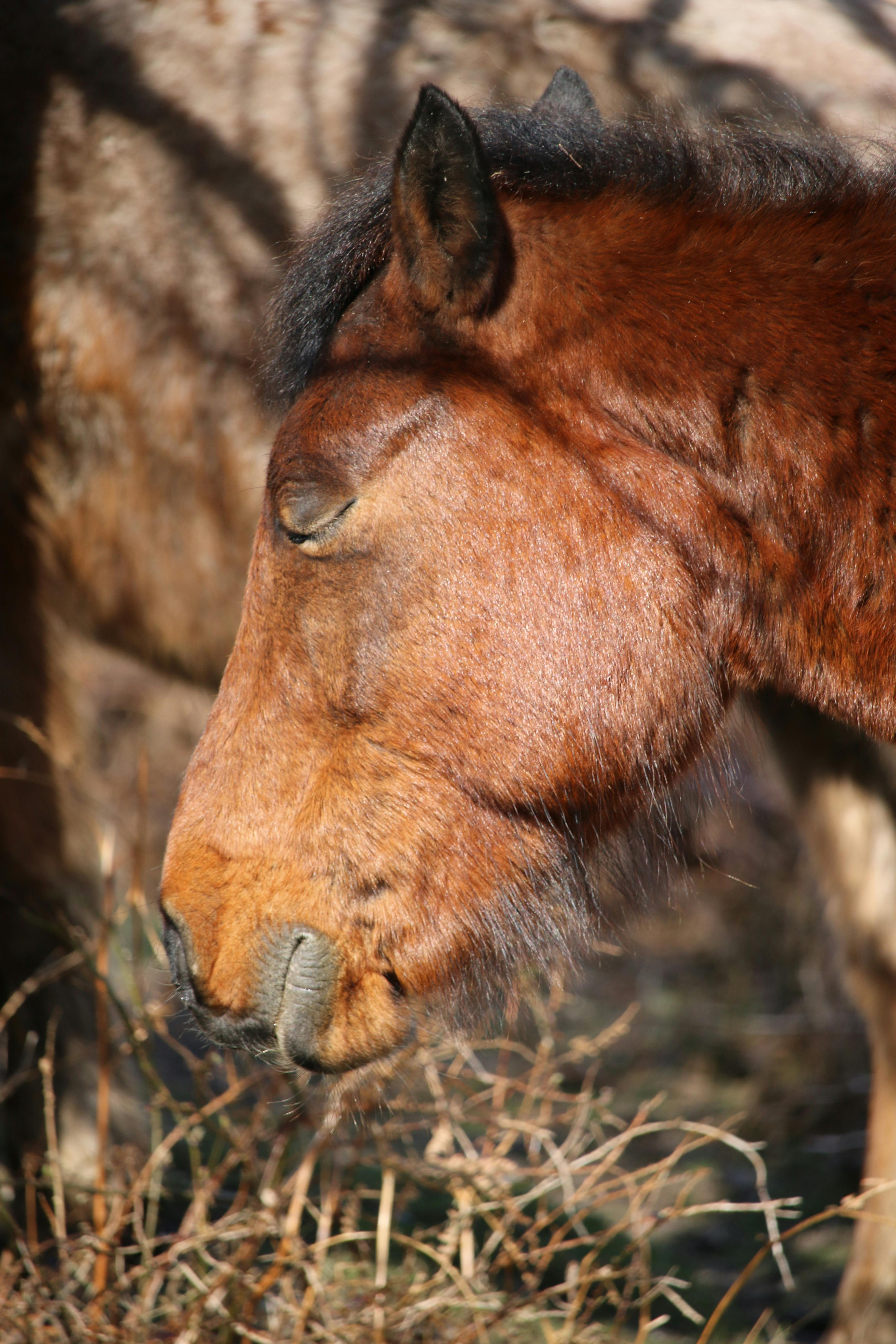 Flynn Robinson - 摄影