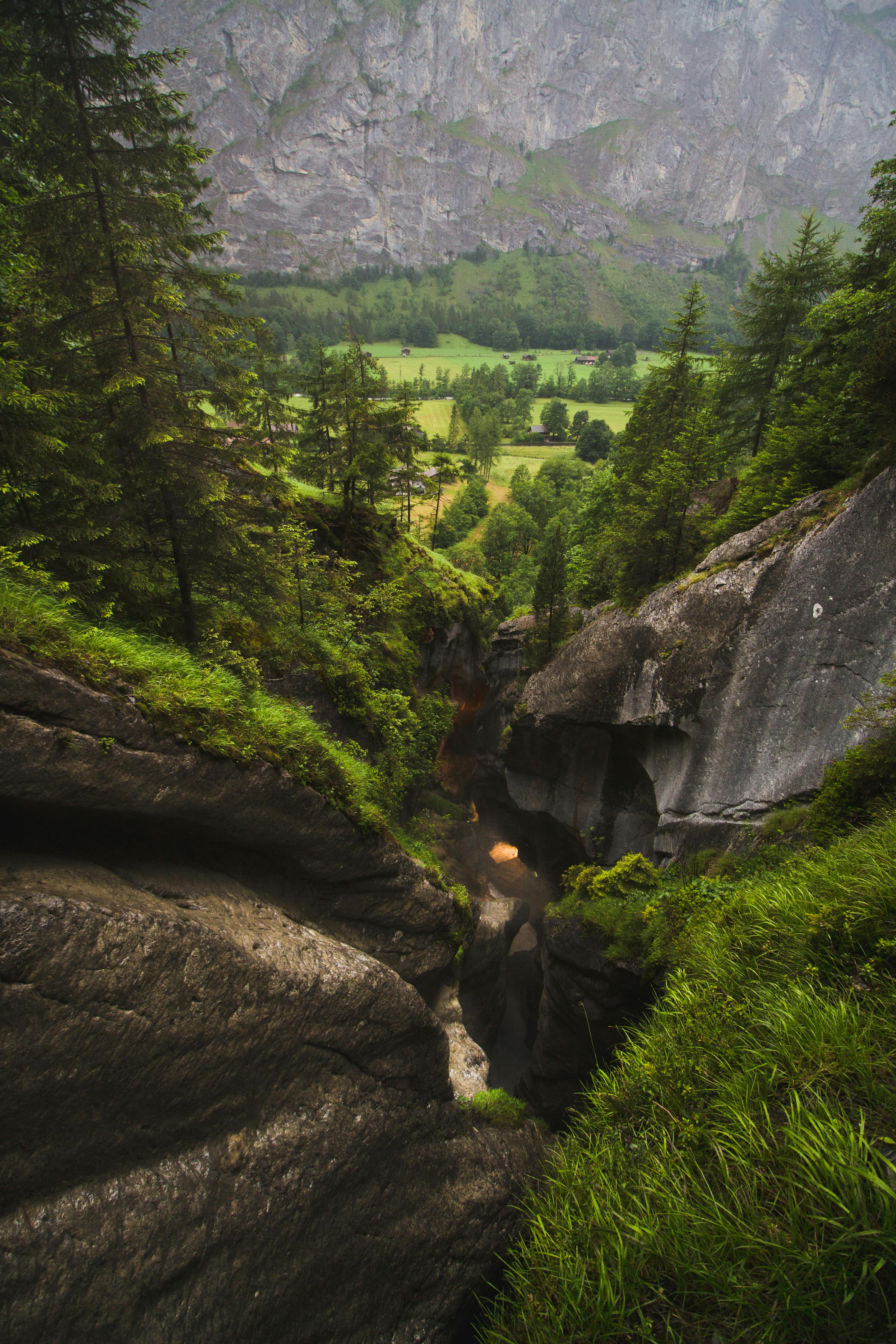 Free stock photo of forest, mountain, ravine