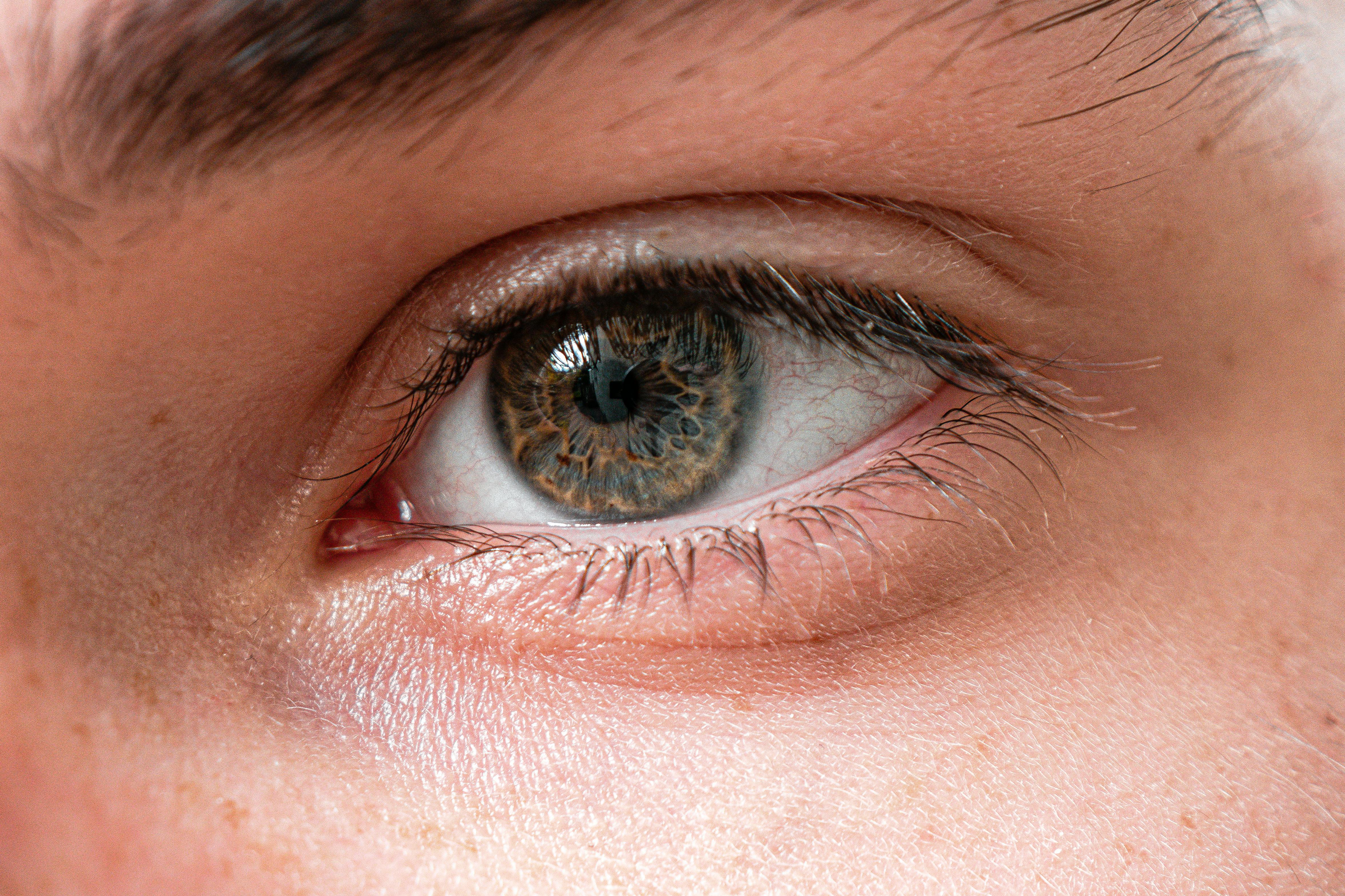 Close-Up of Human Eye with Intricate Details · Free Stock Photo