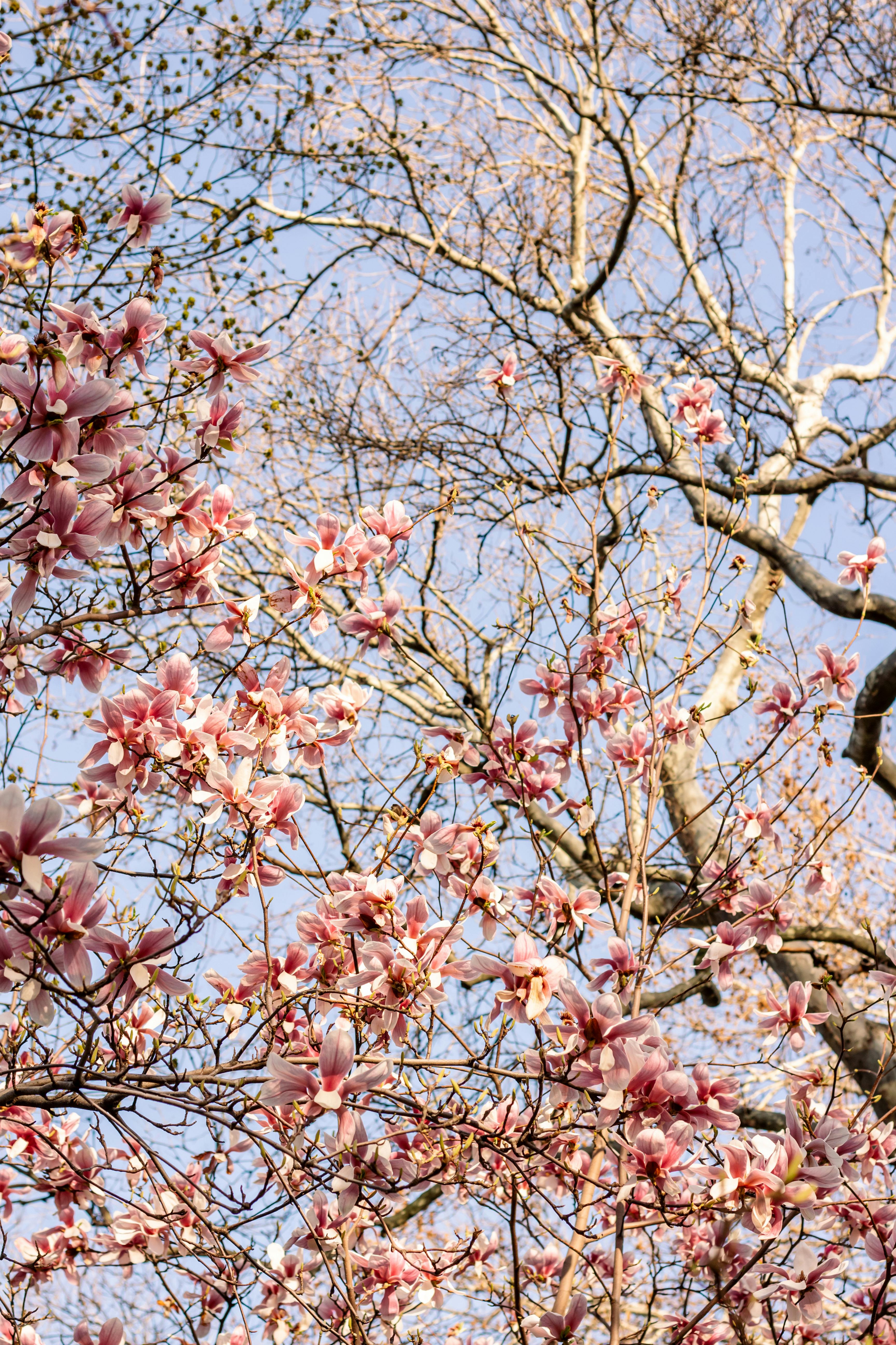 Hdri Sky Photos, Download The BEST Free Hdri Sky Stock Photos & HD Images