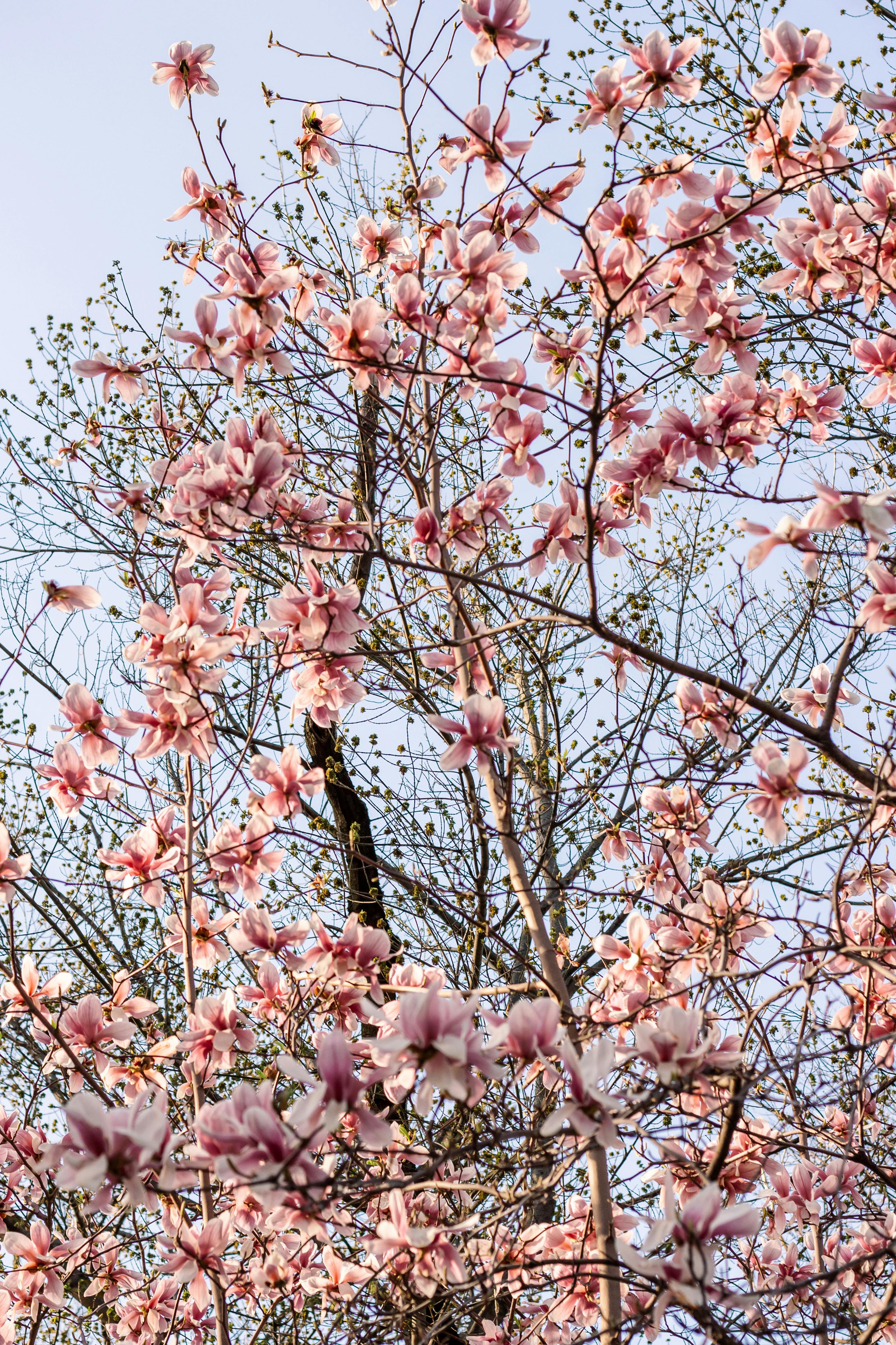 Rubi Tillsammans Photos, Download The BEST Free Rubi Tillsammans Stock ...