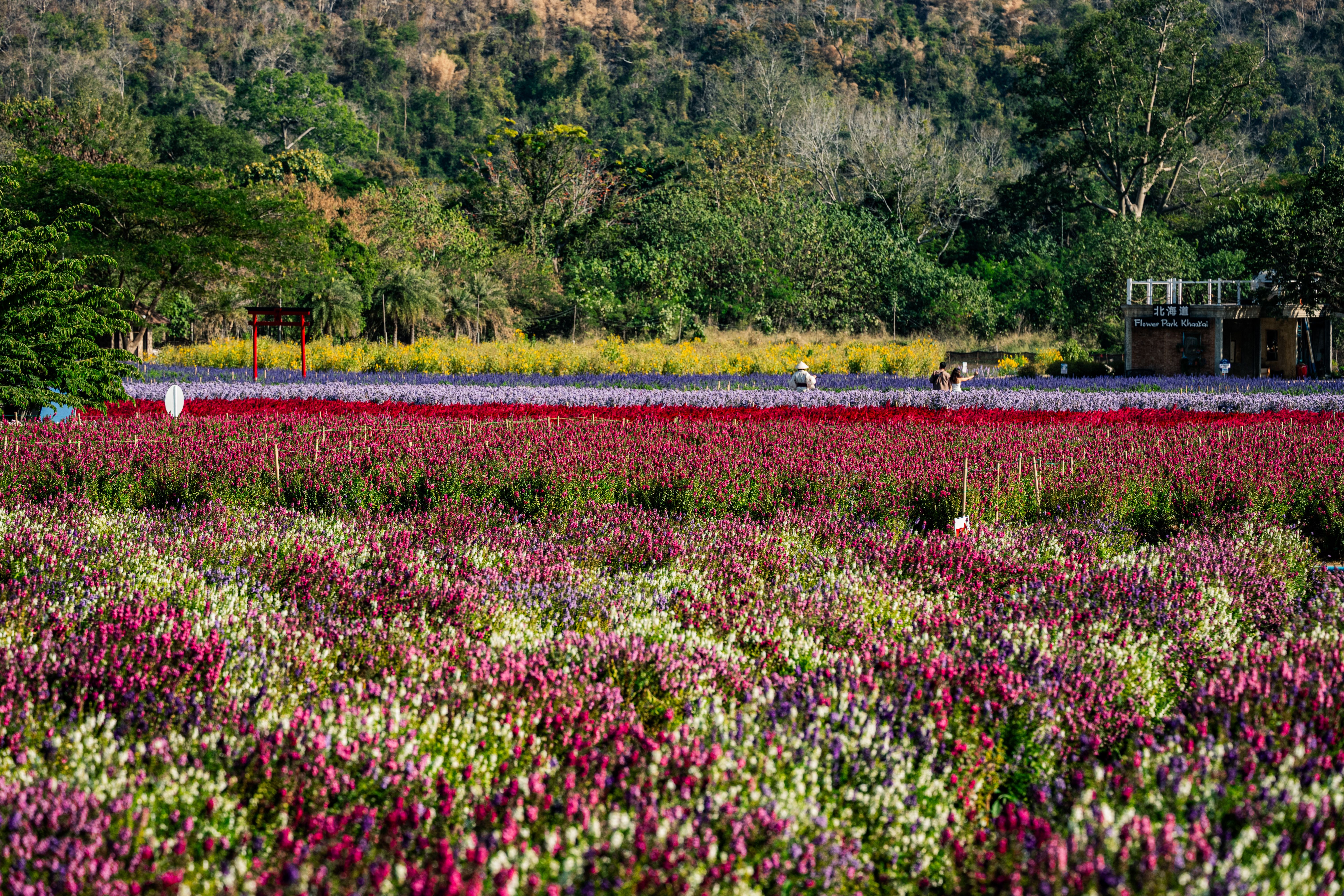 50mb Photos Photos, Download The BEST Free 50mb Photos Stock Photos ...