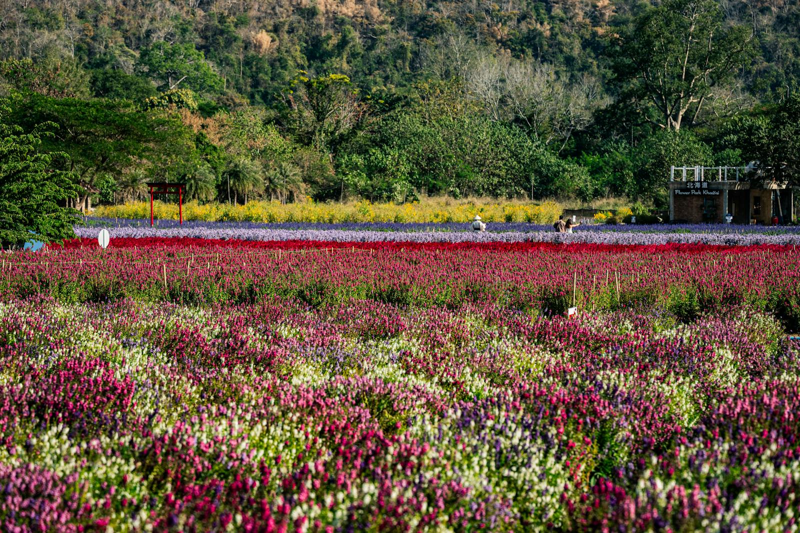 Pixabay Free Images Photos, Download The BEST Free Pixabay Free Images ...