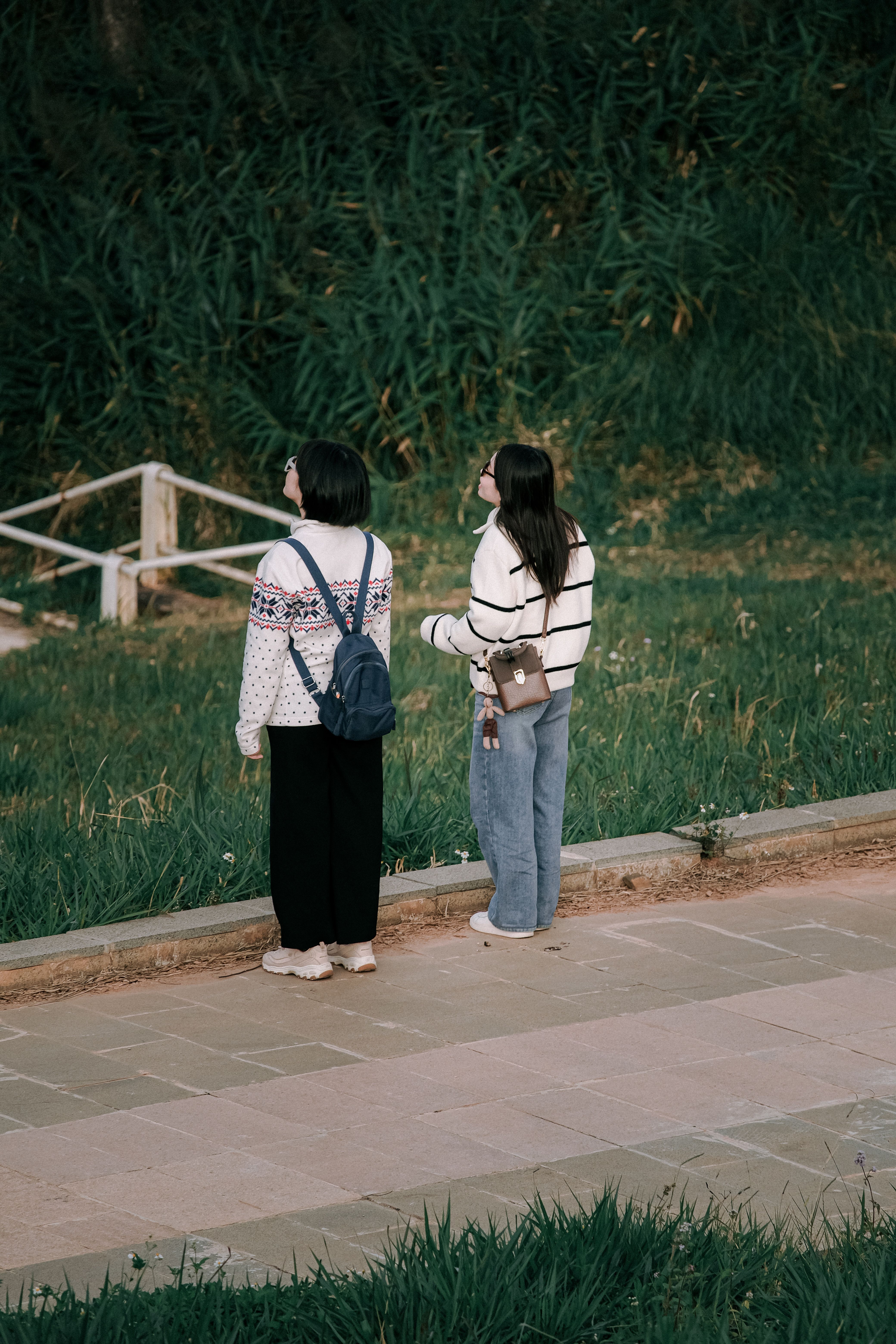 Two Women Observing Nature on a Pathway · Free Stock Photo