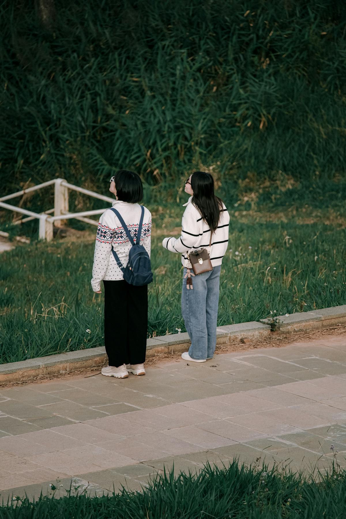 Nature Pfp Photos, Download The BEST Free Nature Pfp Stock Photos & HD ...