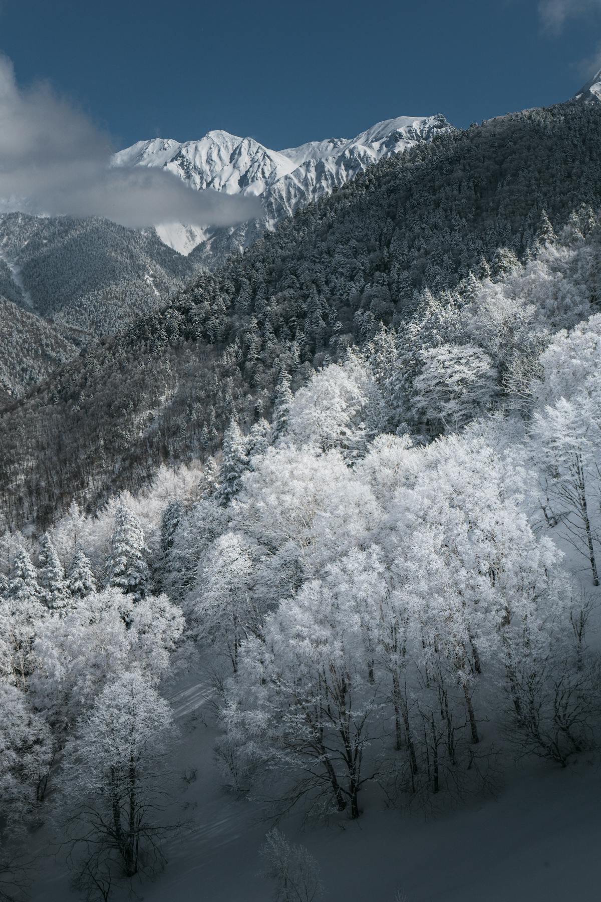 Snow Landscape Photos, Download The BEST Free Snow Landscape Stock ...