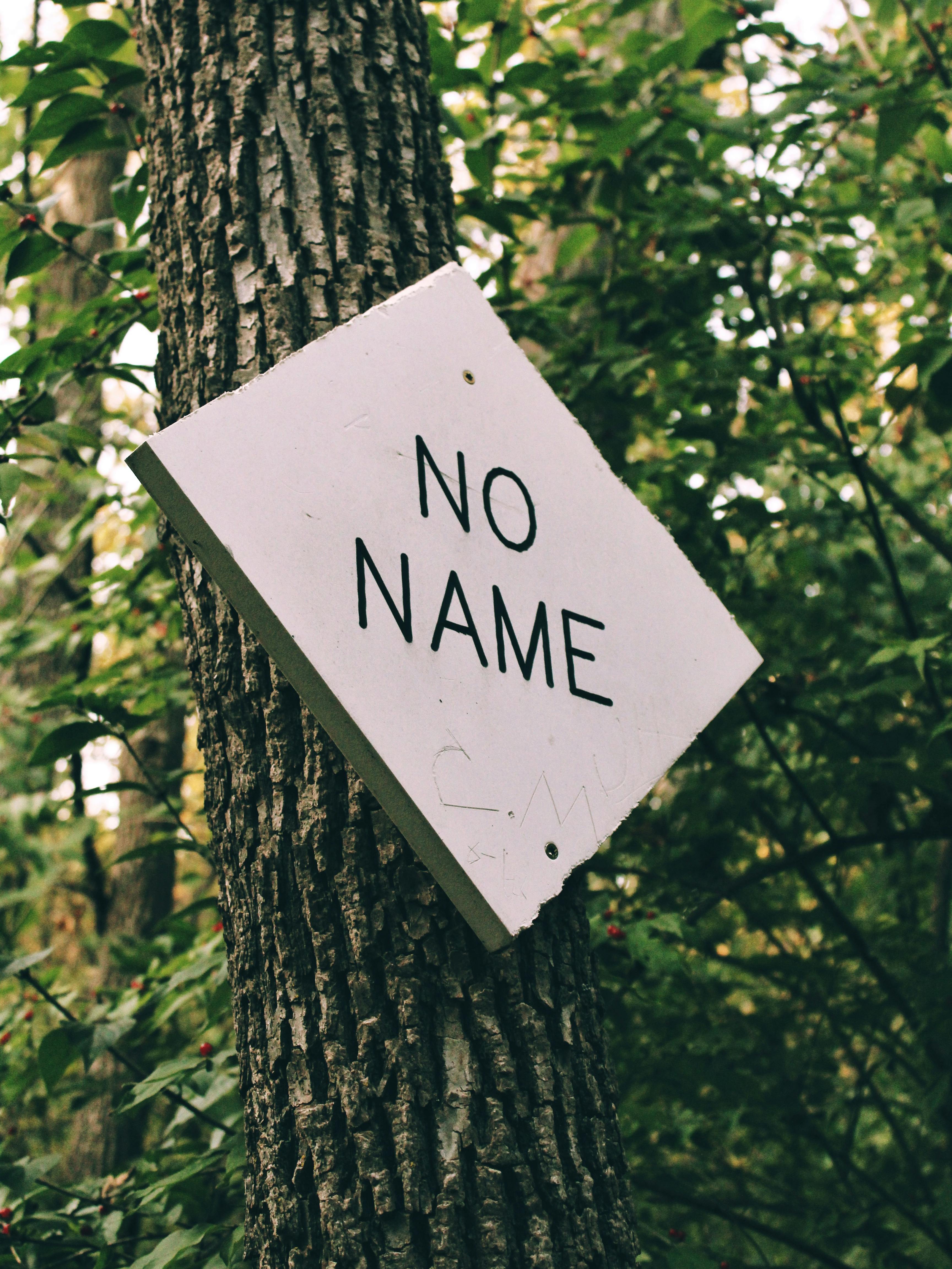 No Name Signage · Free Stock Photo