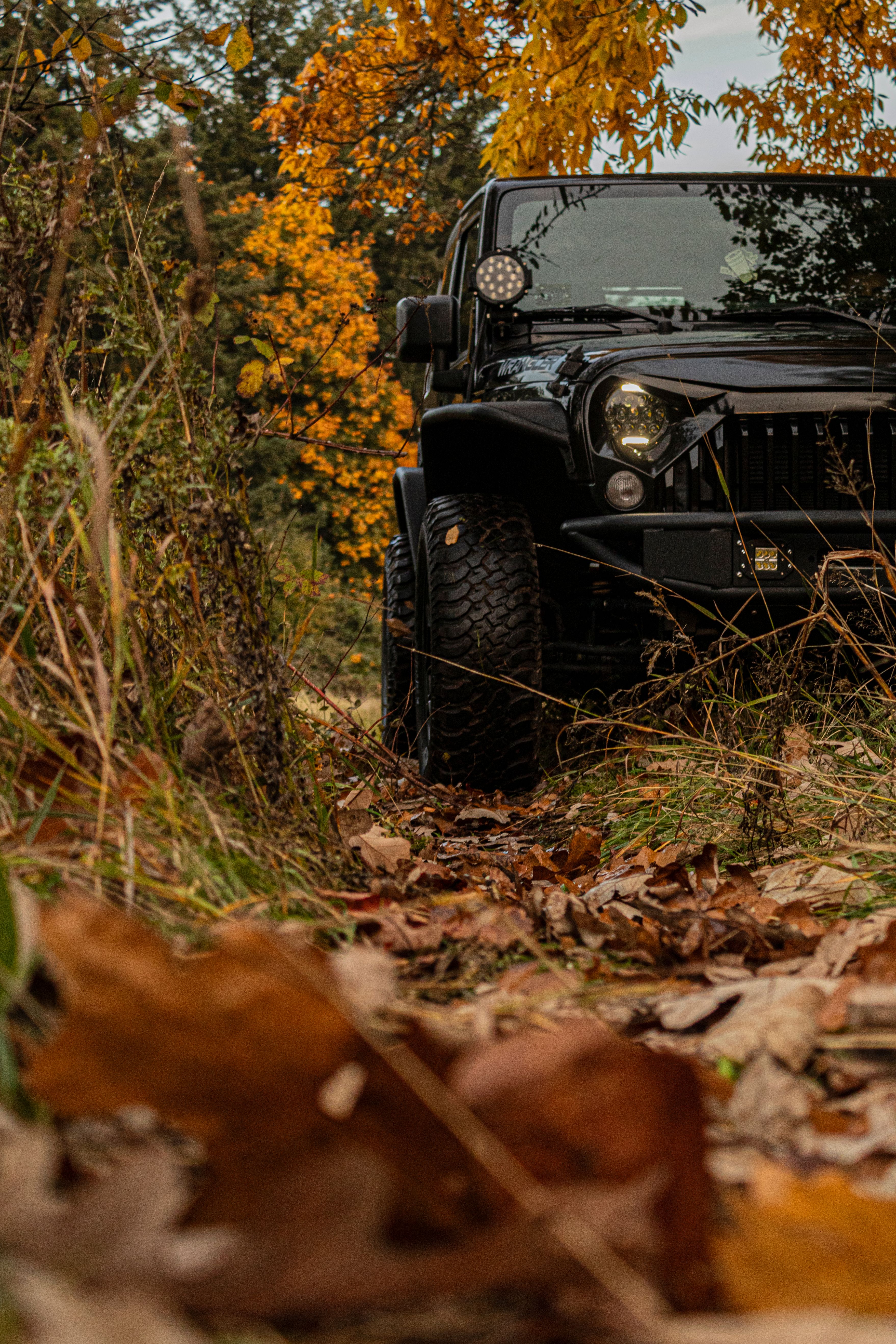 50+ Great Jeep Photos Pexels · Free Stock Photos