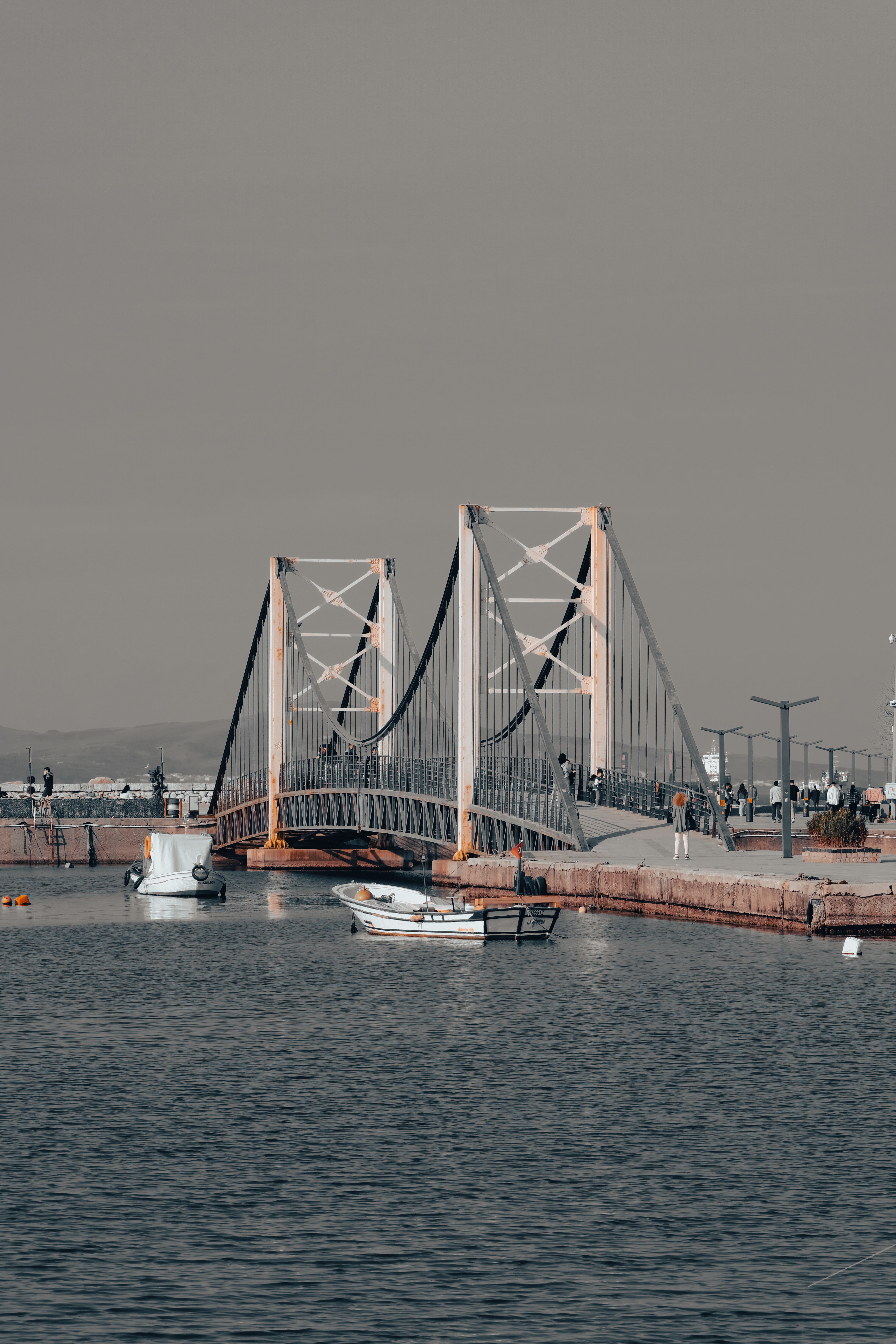 Tranquil Waterfront with Modern Suspension Bridge · Free Stock Photo