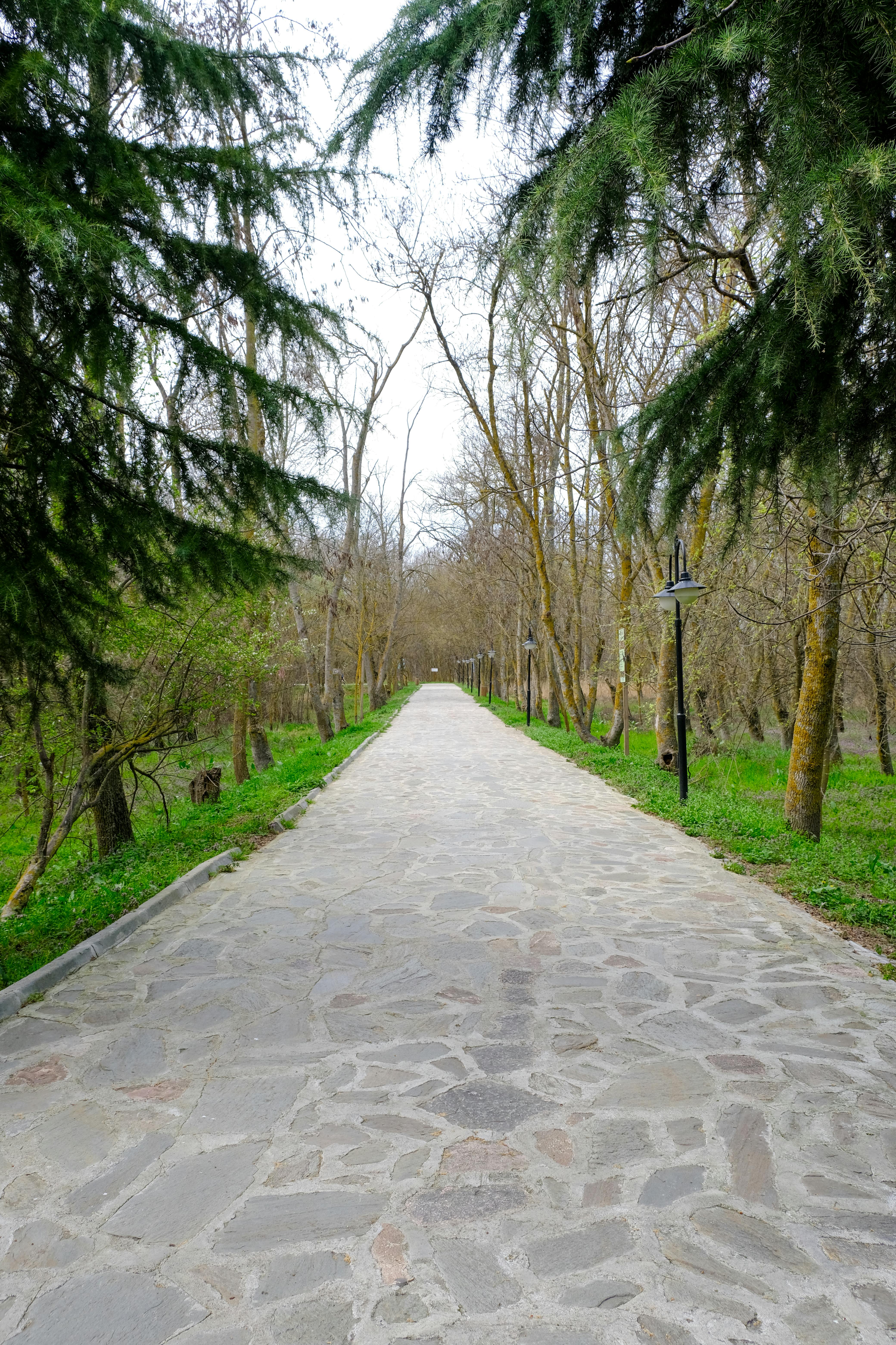 Stone Pathe Photos, Download The BEST Free Stone Pathe Stock Photos ...