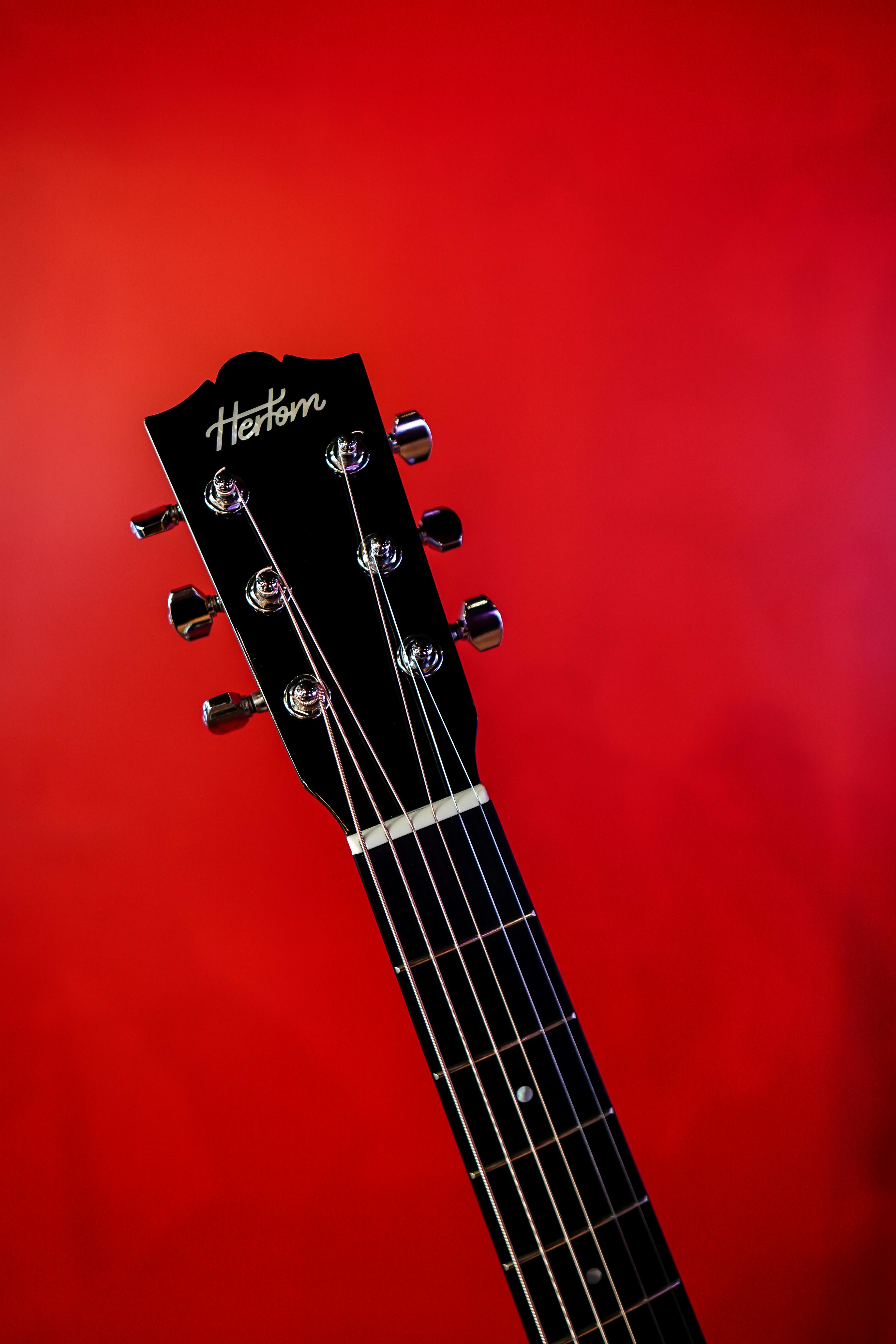 Violão Brasileiro Hertom · Foto profissional gratuita