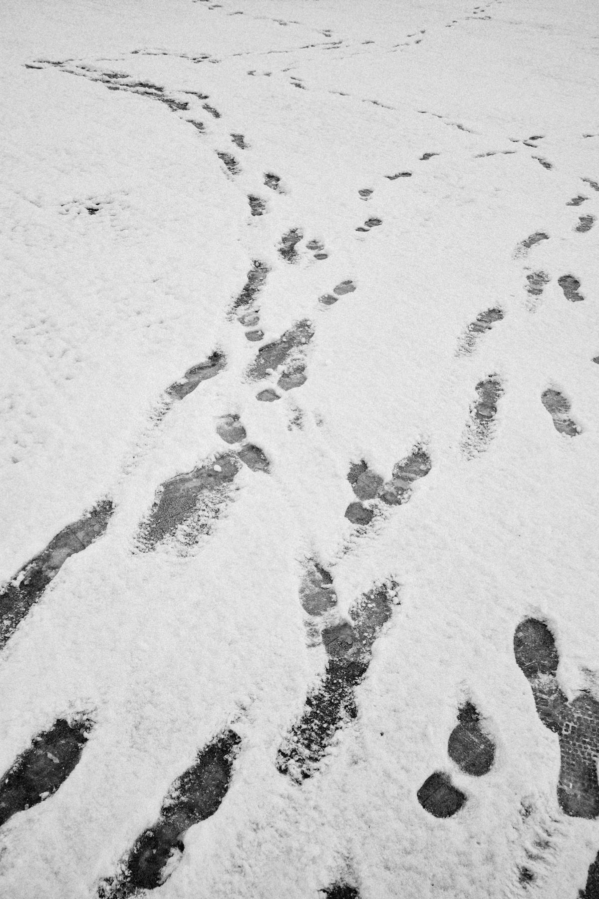 Cartoon Footprints Photos, Download The BEST Free Cartoon Footprints ...