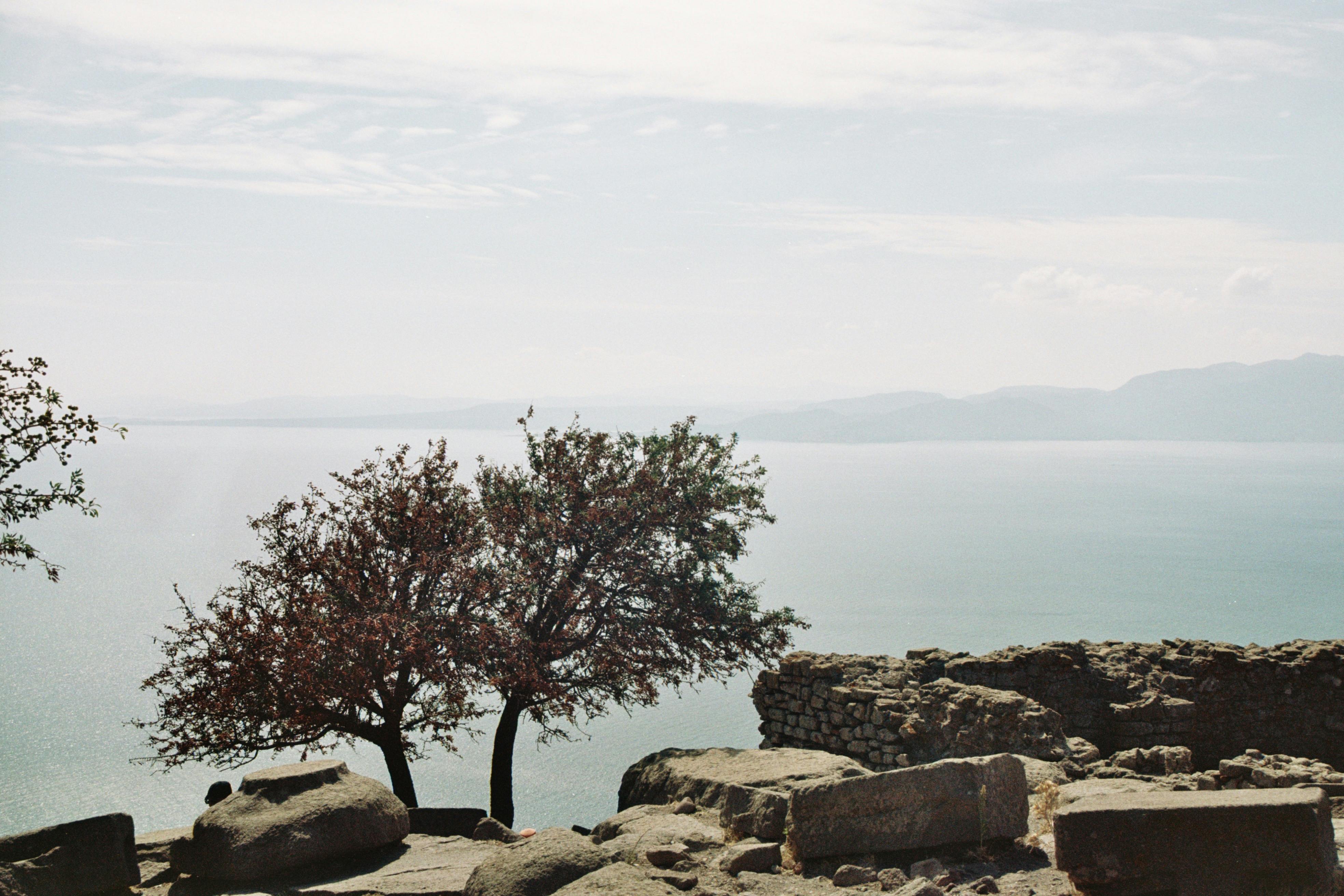 Serene View of Ancient Ruins in Behram, Türkiye · Free Stock Photo