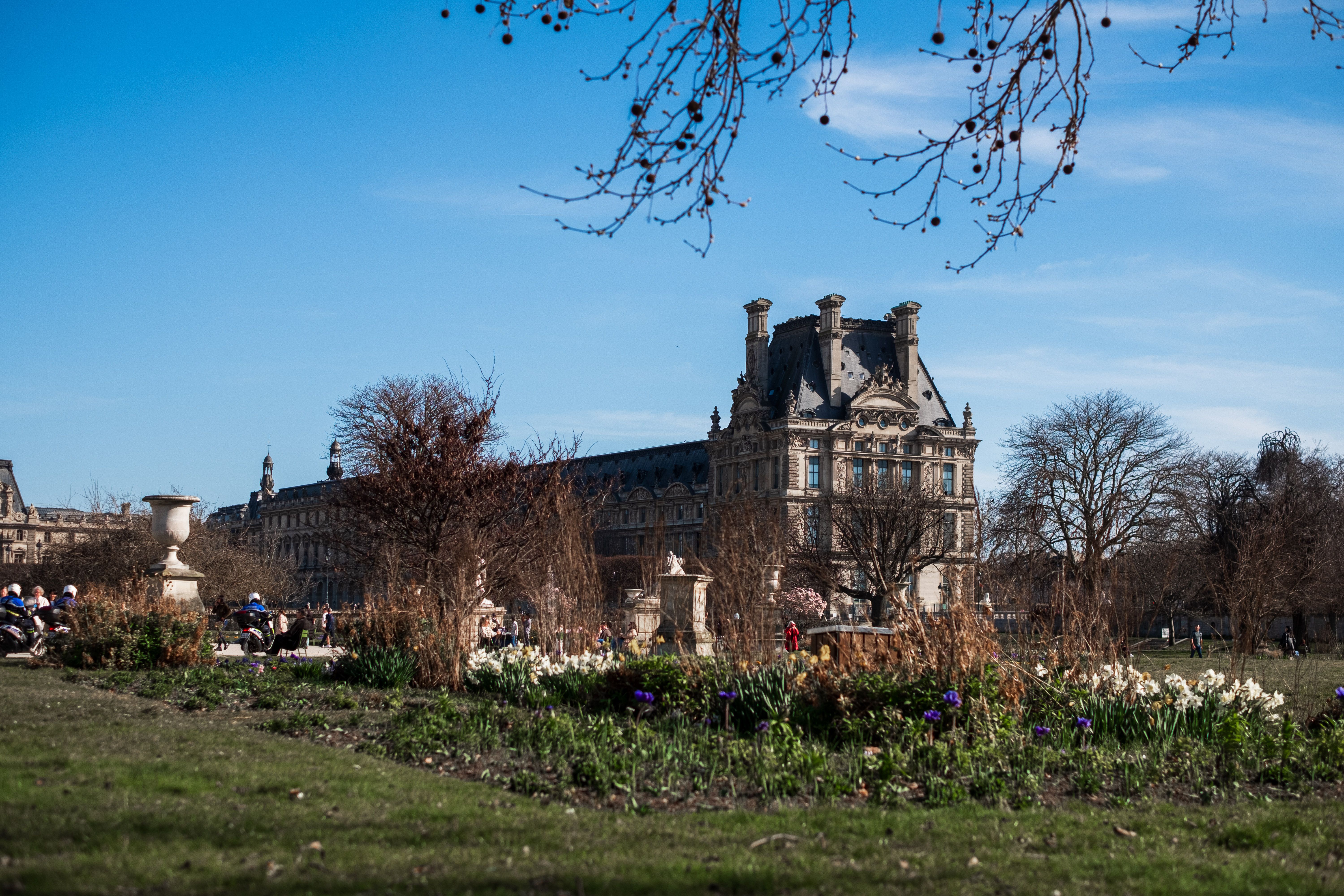 Louvre Museum Flowers Photos, Download The BEST Free Louvre Museum ...
