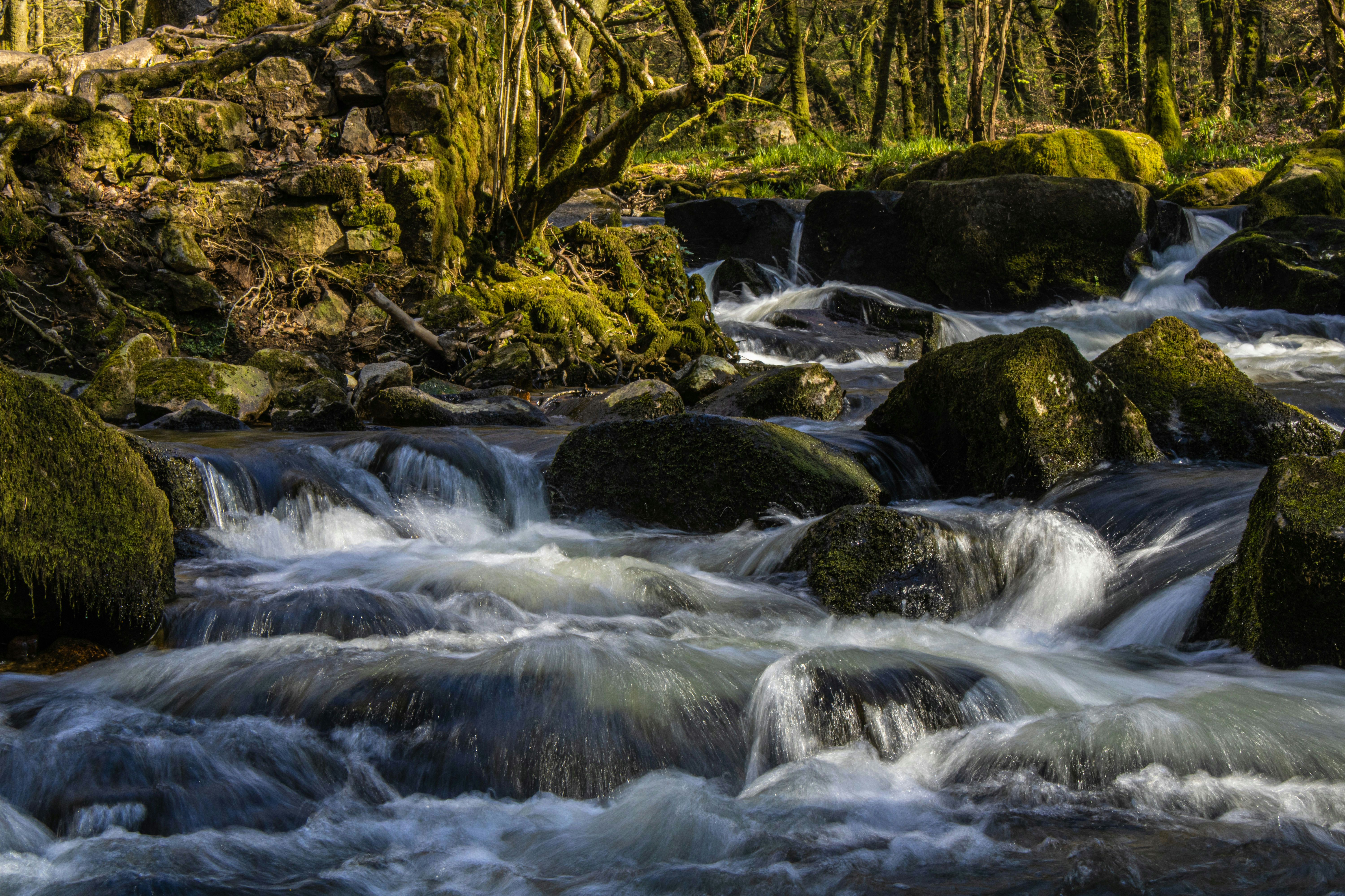 Picturesque Waterfall in Golitha Falls, Cornwall · Free Stock Photo