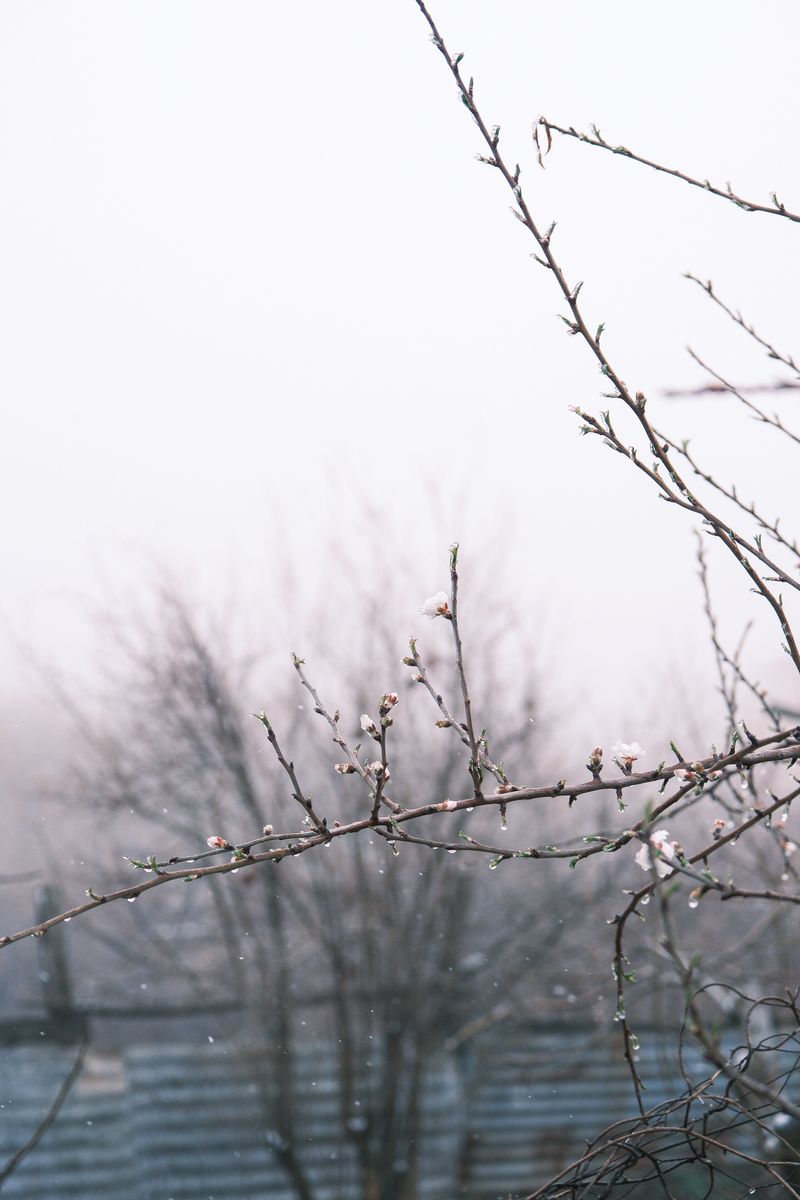 Thursday Morning Photos, Download The BEST Free Thursday Morning Stock ...