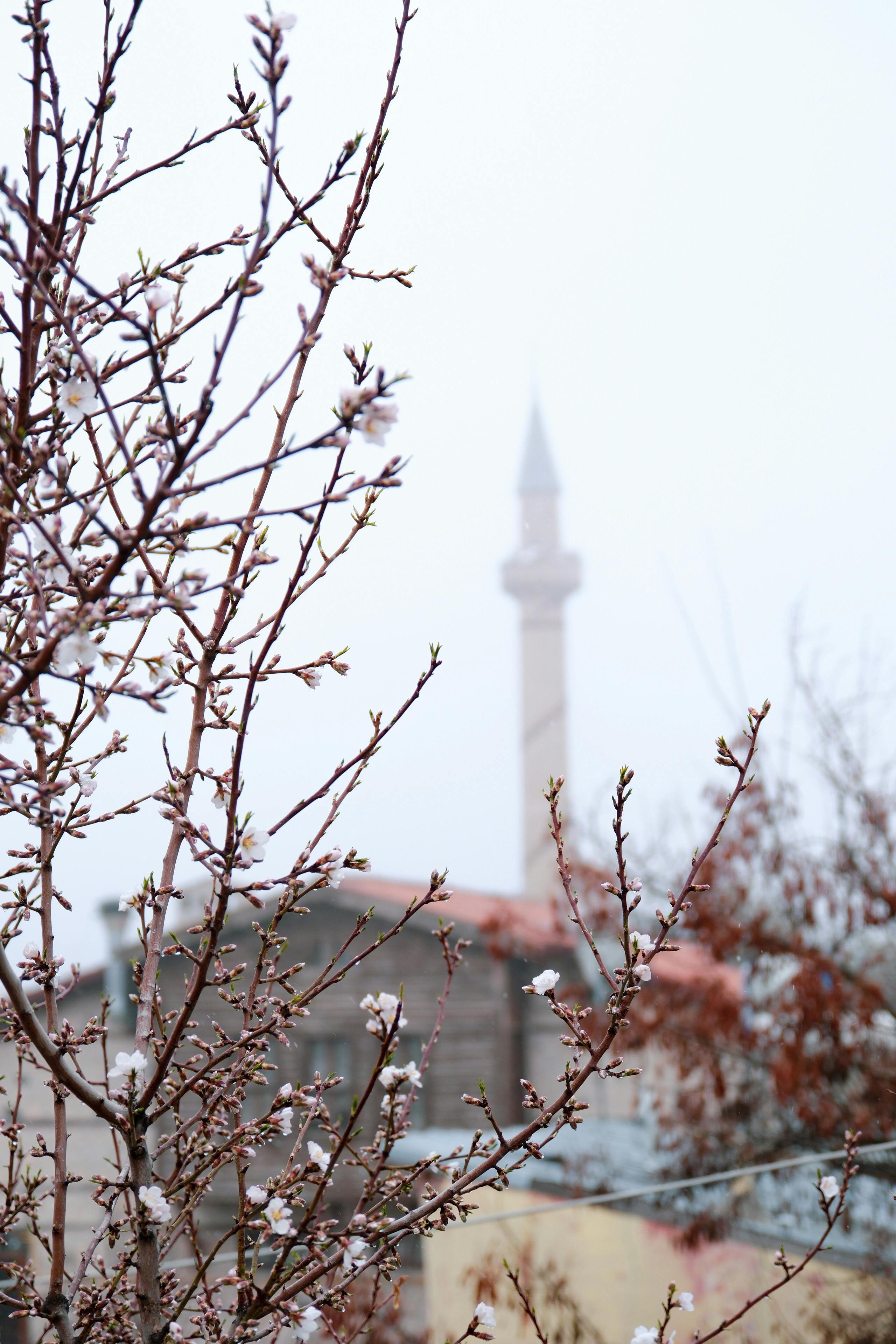 Islamic Soljer Photos, Download The BEST Free Islamic Soljer Stock ...