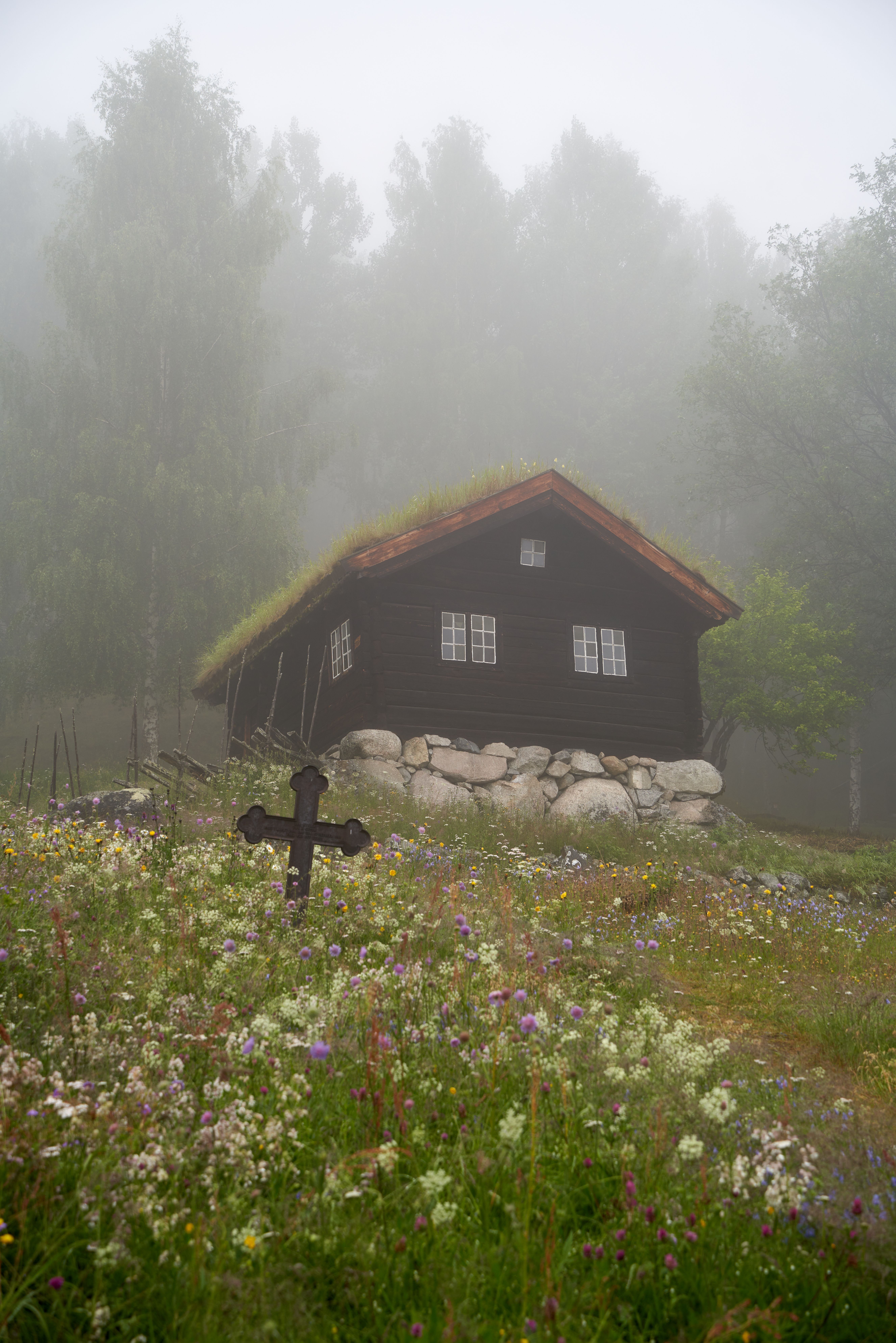 Misty Nordic Cottage in Uvdal's Wildflower Meadow · Free Stock Photo