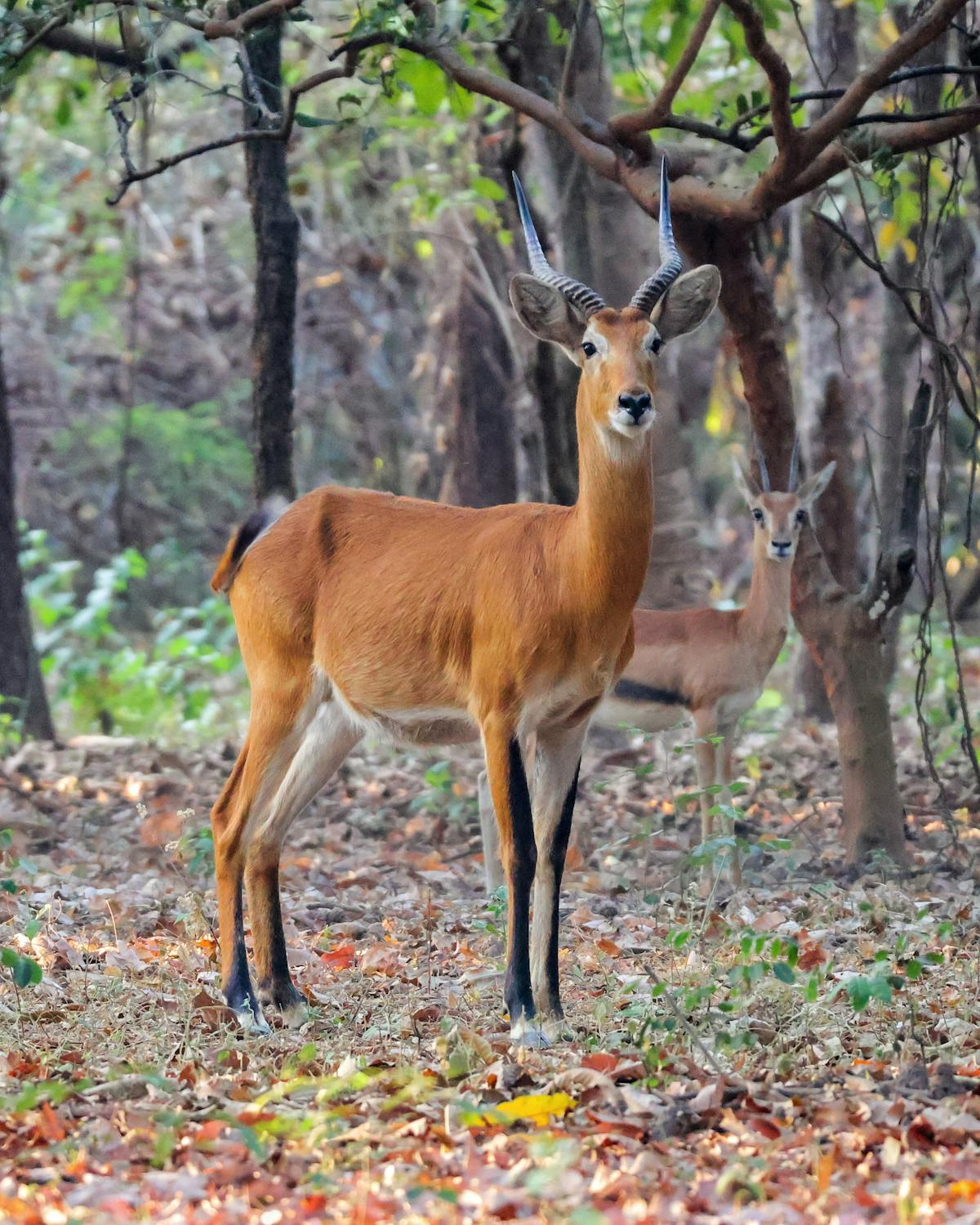 Alert Photos, Download The BEST Free Alert Stock Photos & HD Images