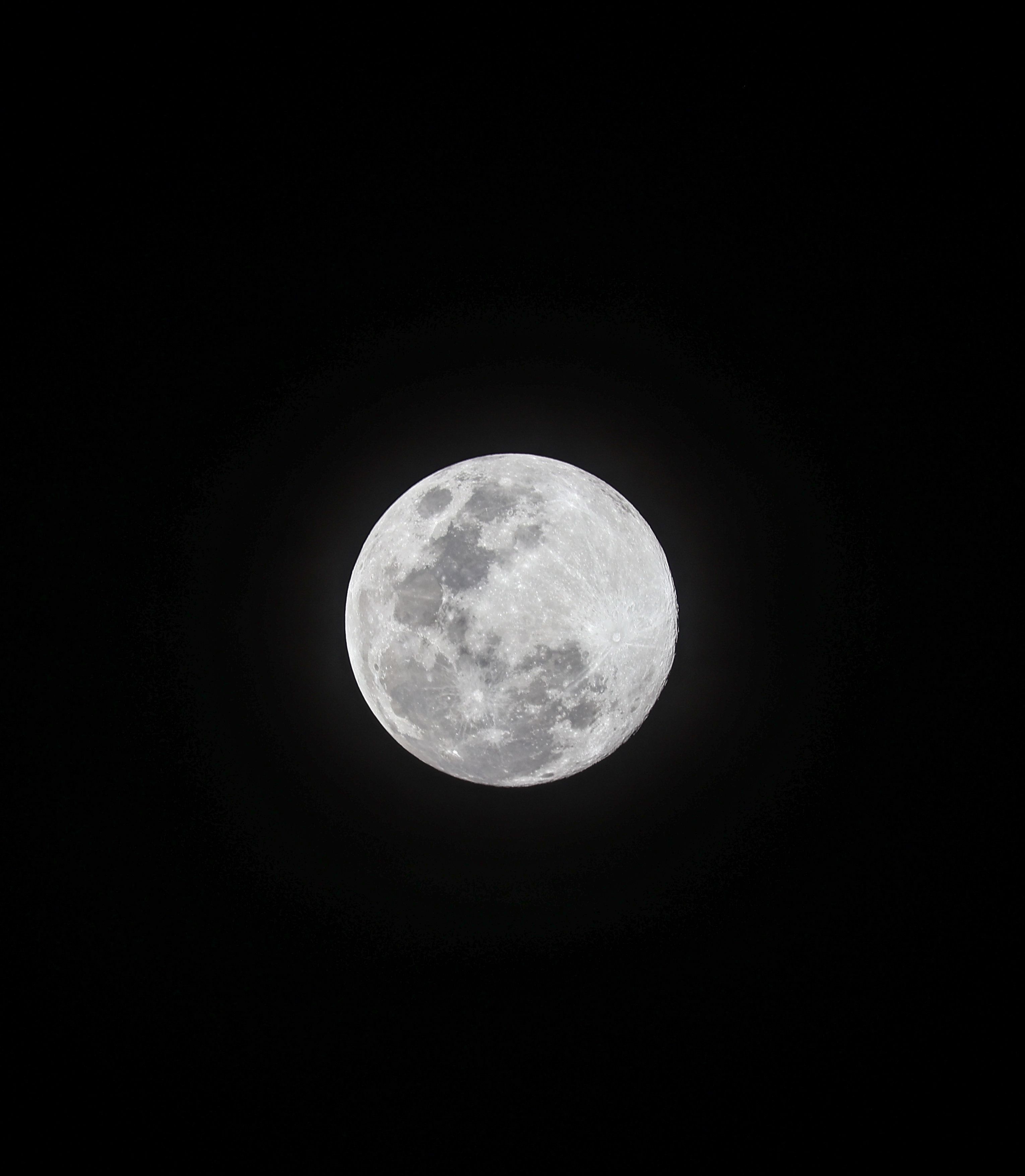 Bright Full Moon Illuminates the Night Sky · Free Stock Photo
