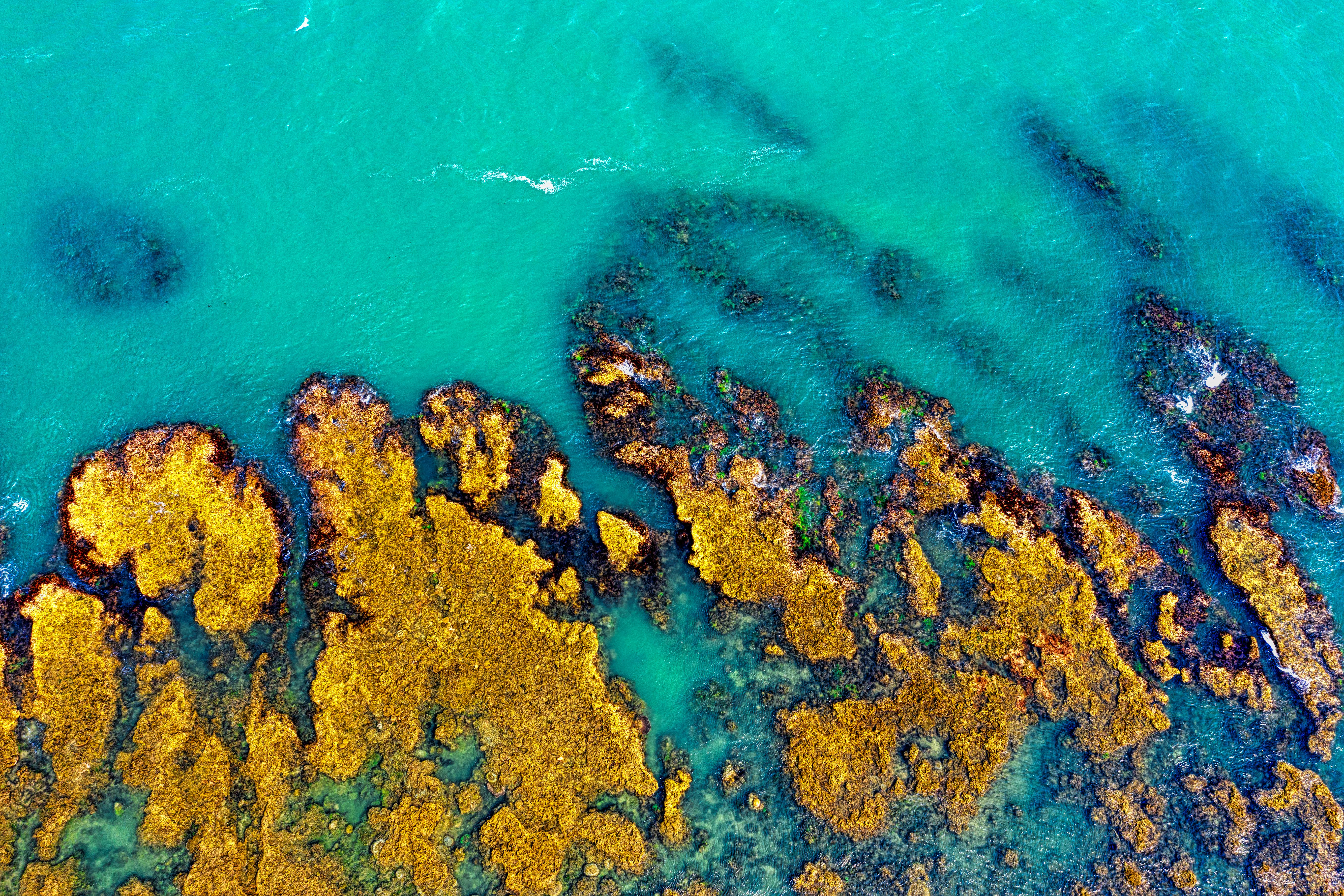 Aerial Photography of Blue Sea Near Seashore · Free Stock Photo