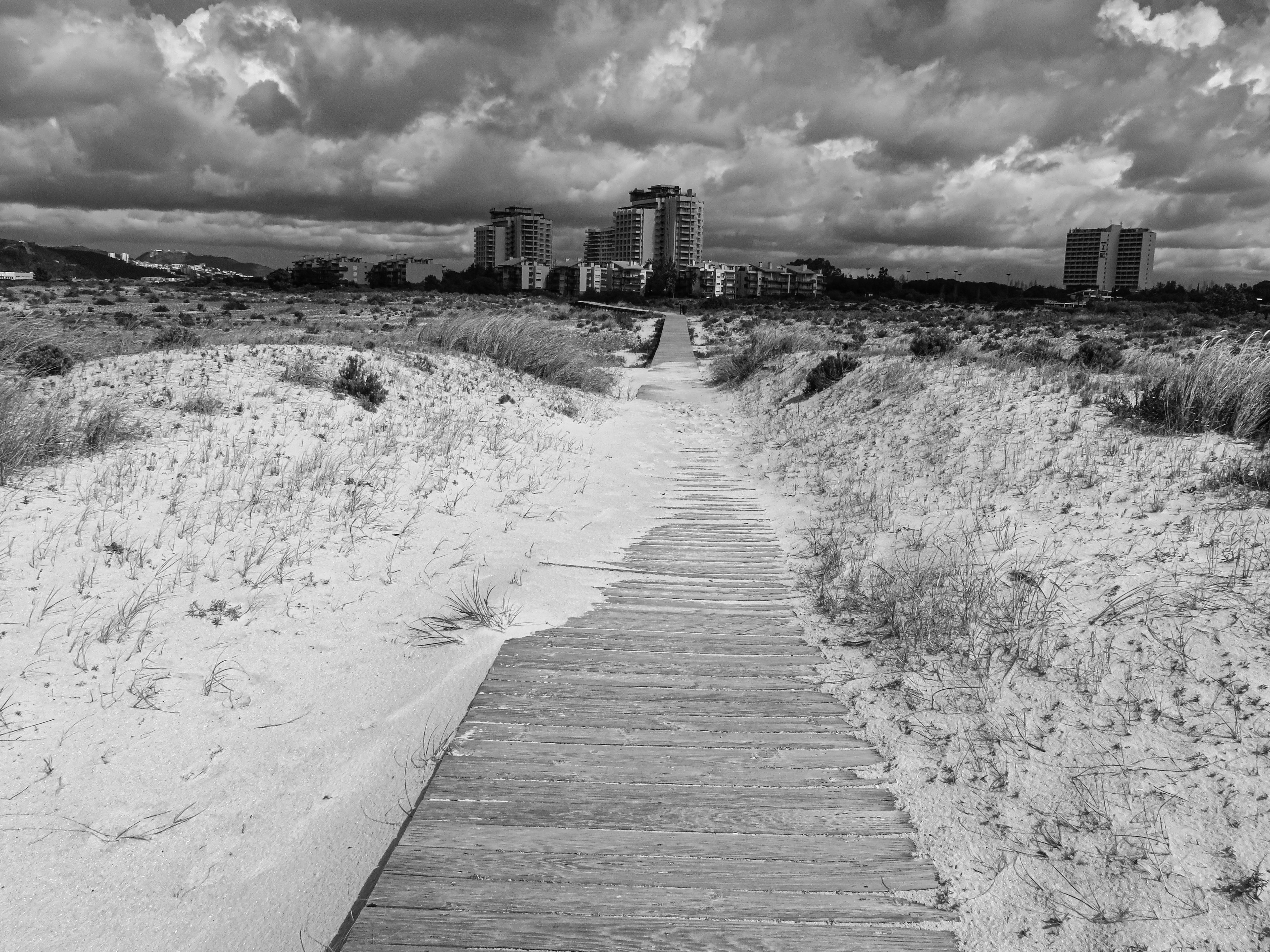 Monochrome Beach Path with Urban Skyline · Free Stock Photo