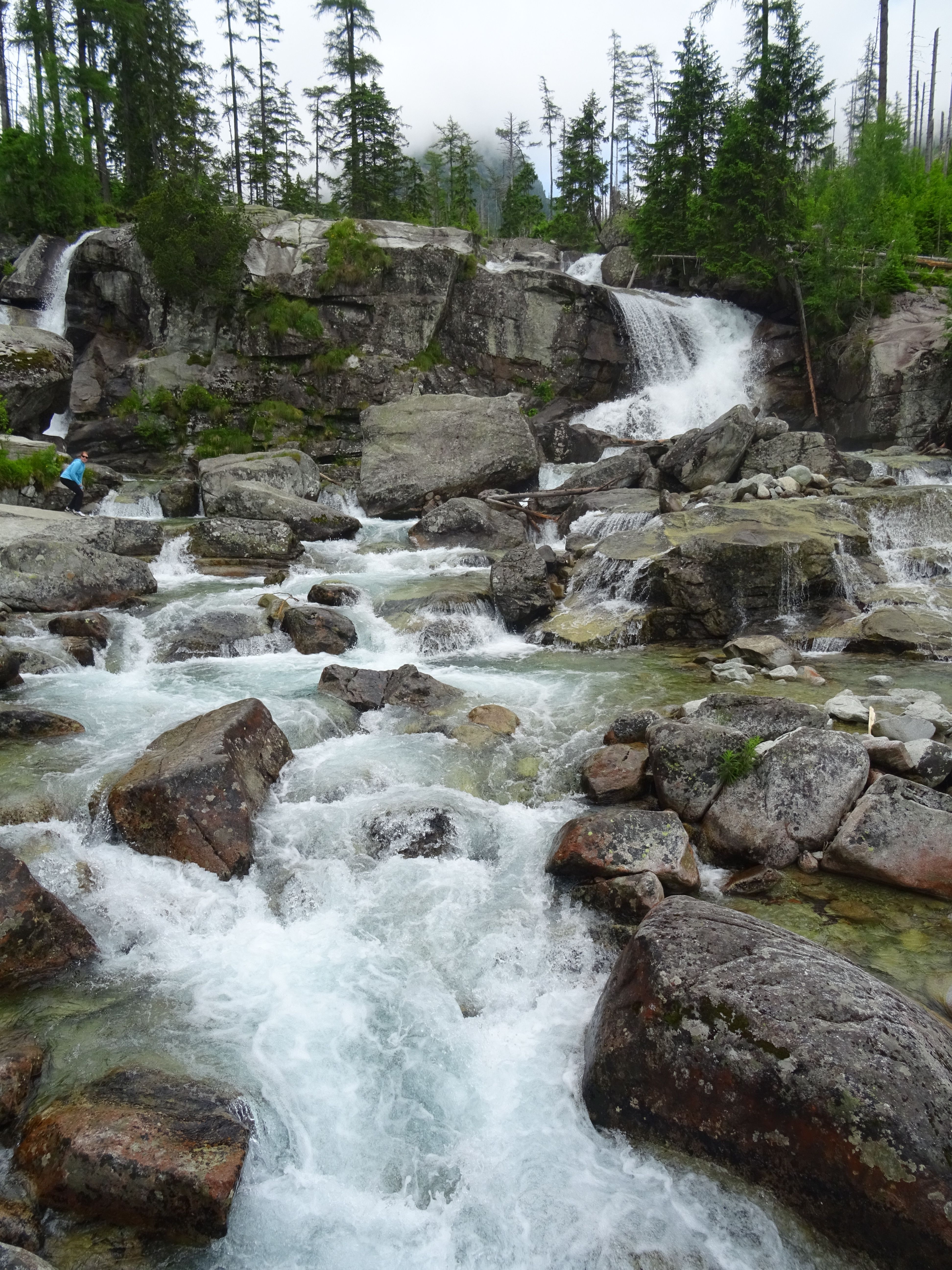 Scenic Waterfall Cascade Through Forest Rocks · Free Stock Photo