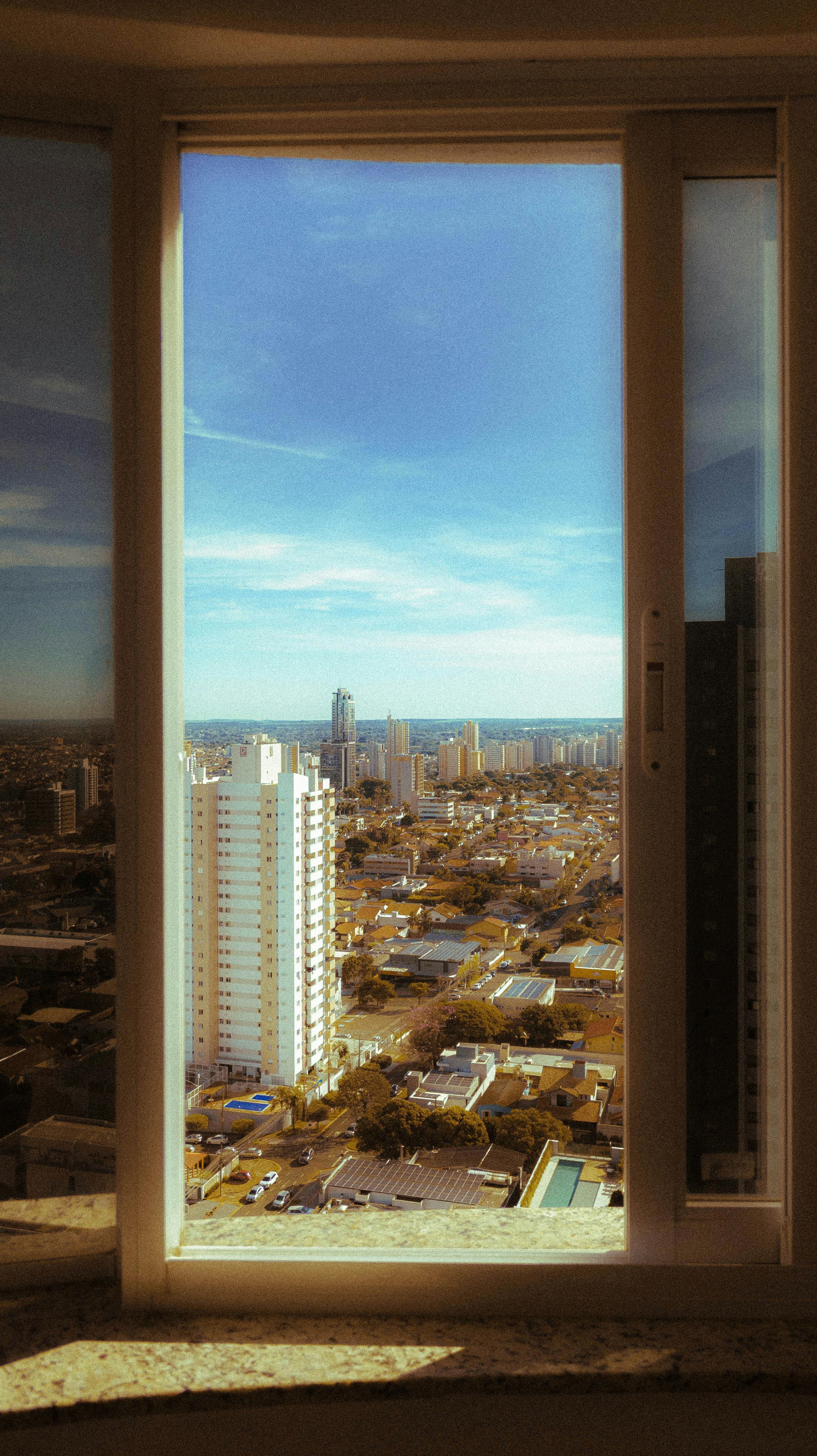 2,000+张最精彩的“Seal Latam”图片 · 100%免费下载 · Pexels素材图片