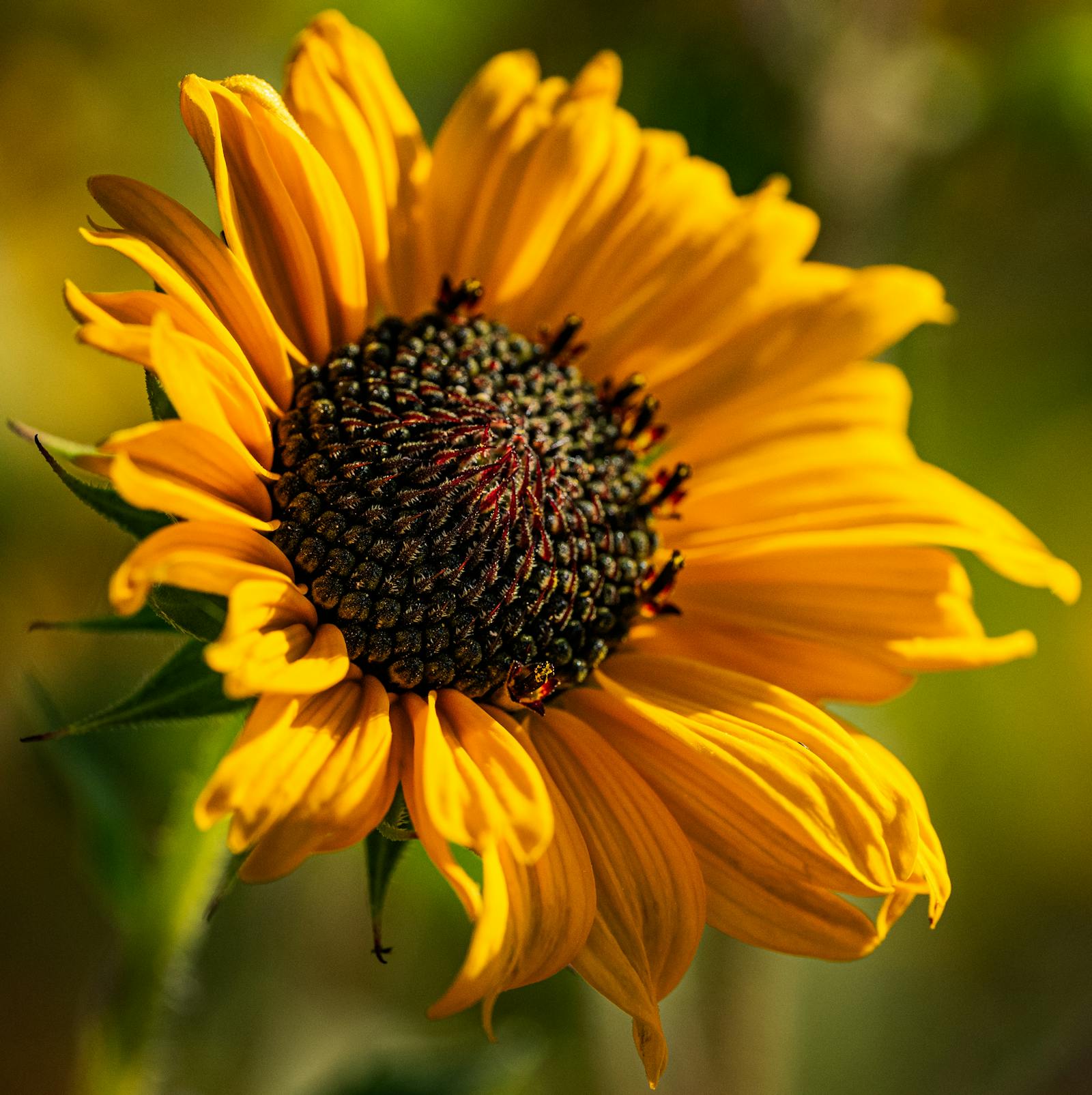 All Free Download Images Photos, Download The BEST Free All Free ...