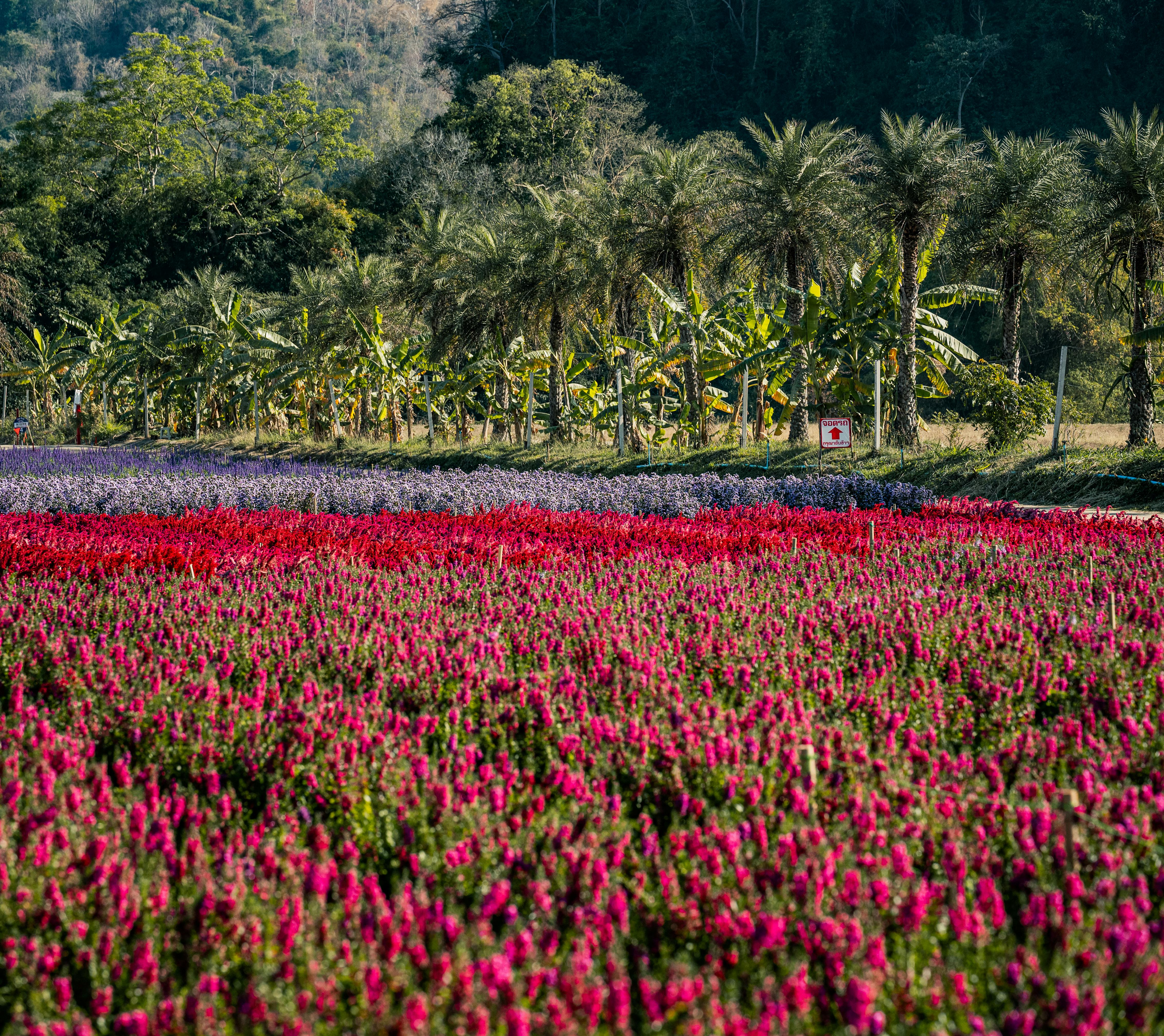 Beautiful Images Photos, Download The BEST Free Beautiful Images Stock ...