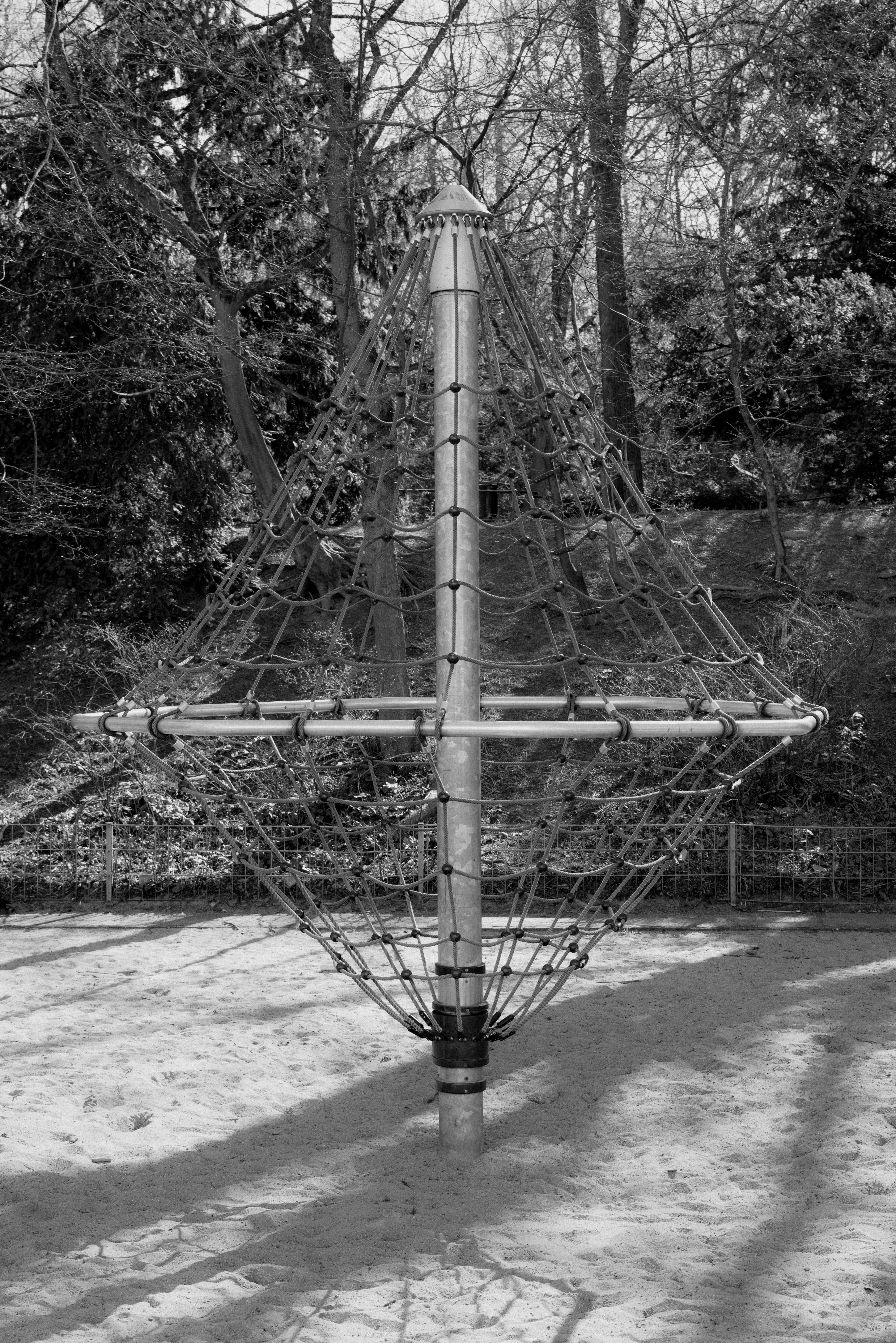 Children At Guava Tree Photos, Download The BEST Free Children At Guava ...