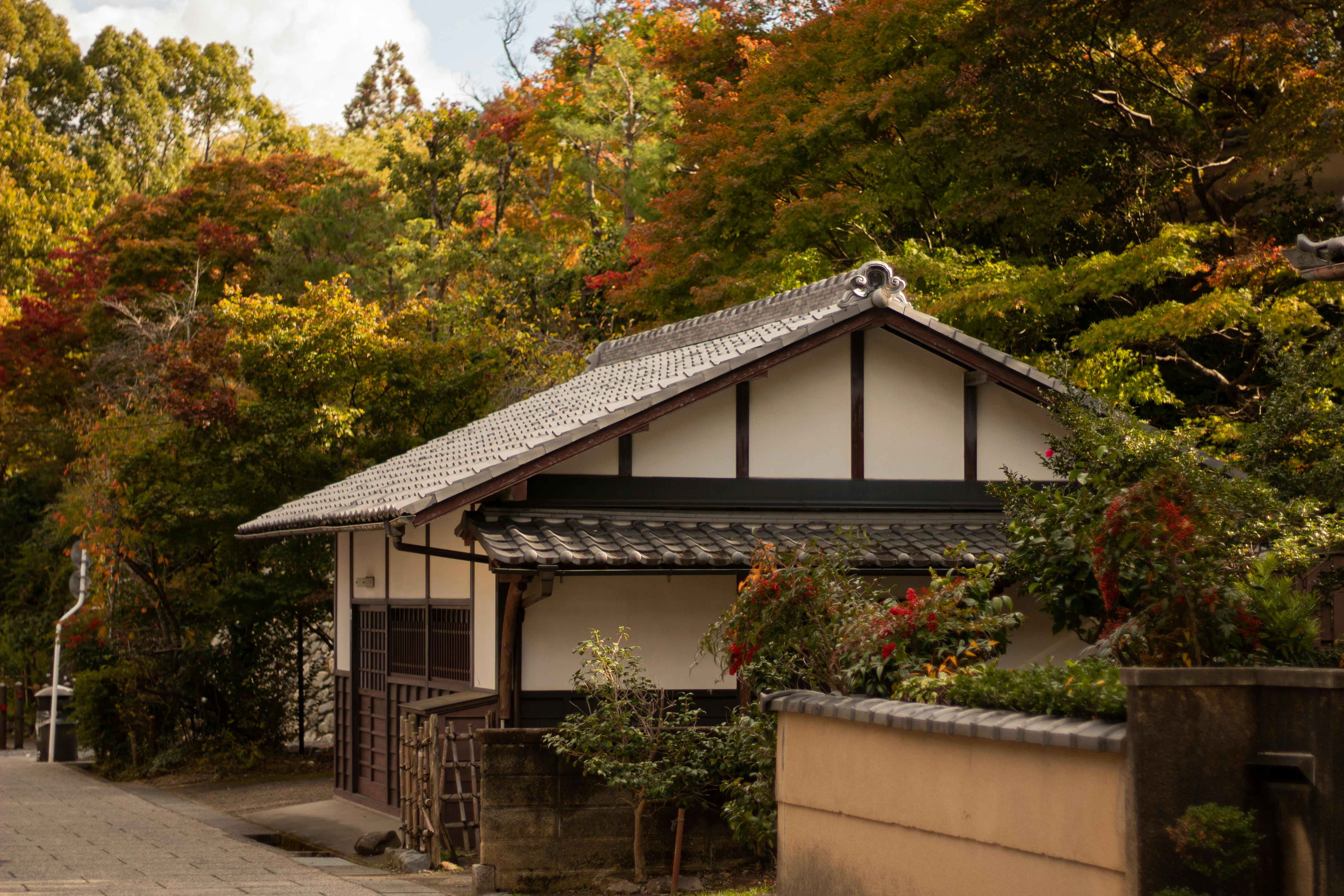 Atap House Photos, Download The BEST Free Atap House Stock Photos & HD ...