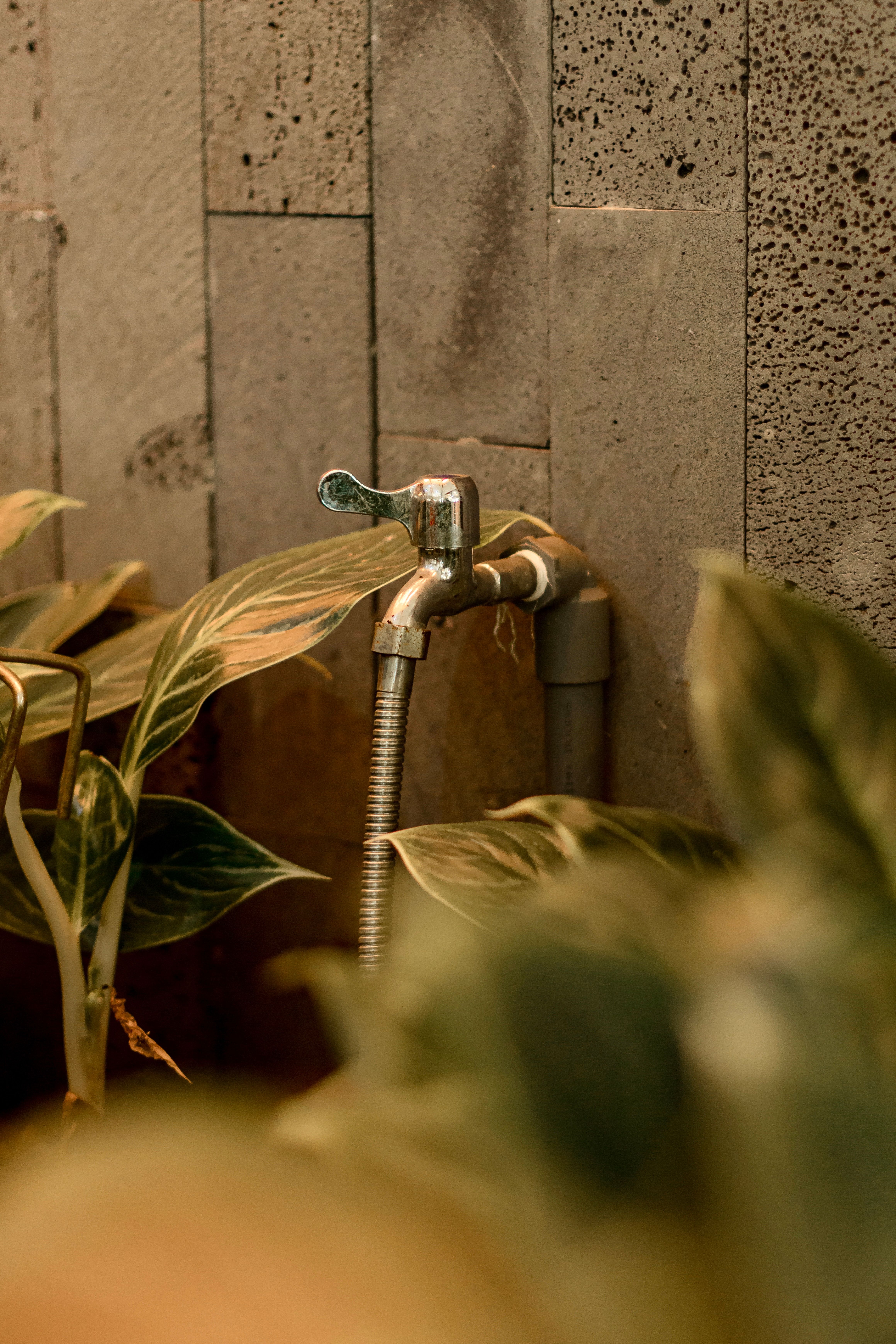 Plumbing Design Photos, Download The BEST Free Plumbing Design Stock ...