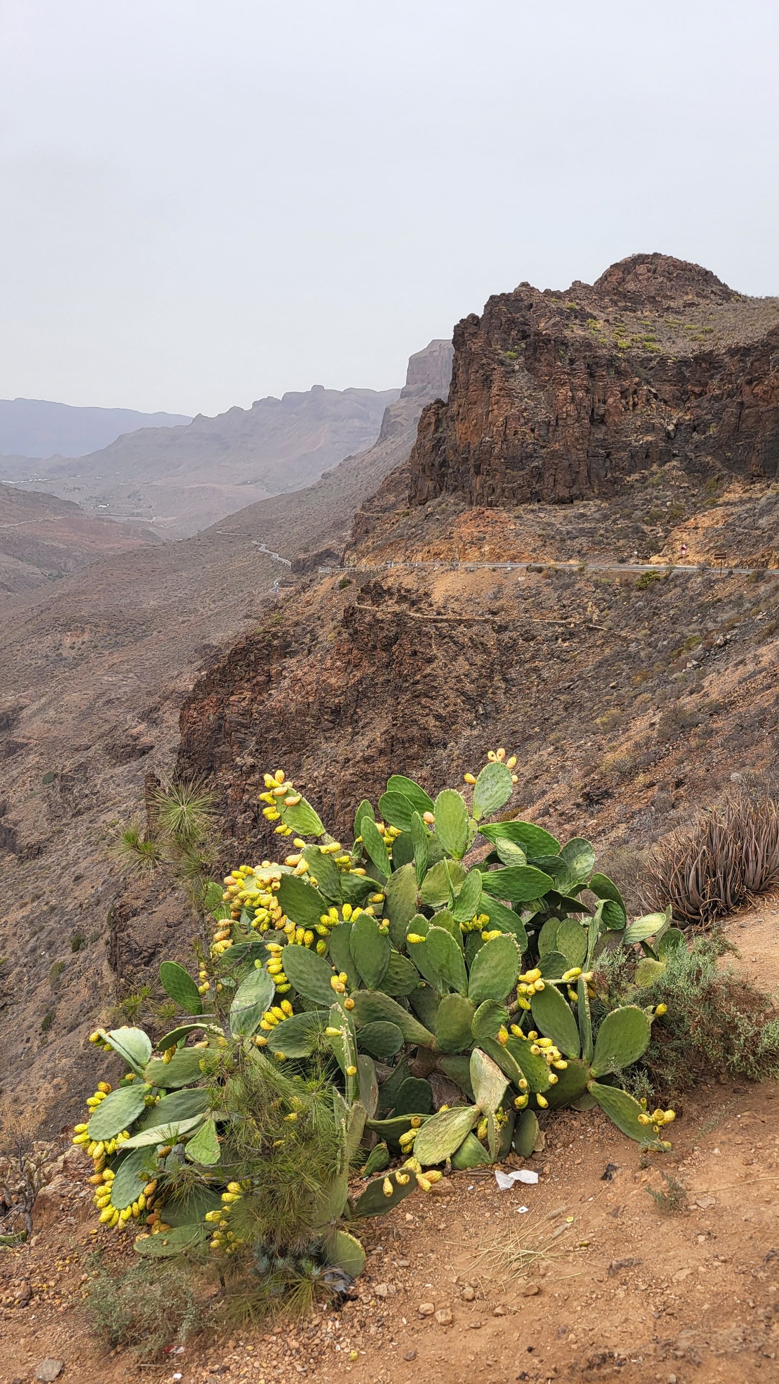 Desert Mountain Photos, Download The BEST Free Desert Mountain Stock ...