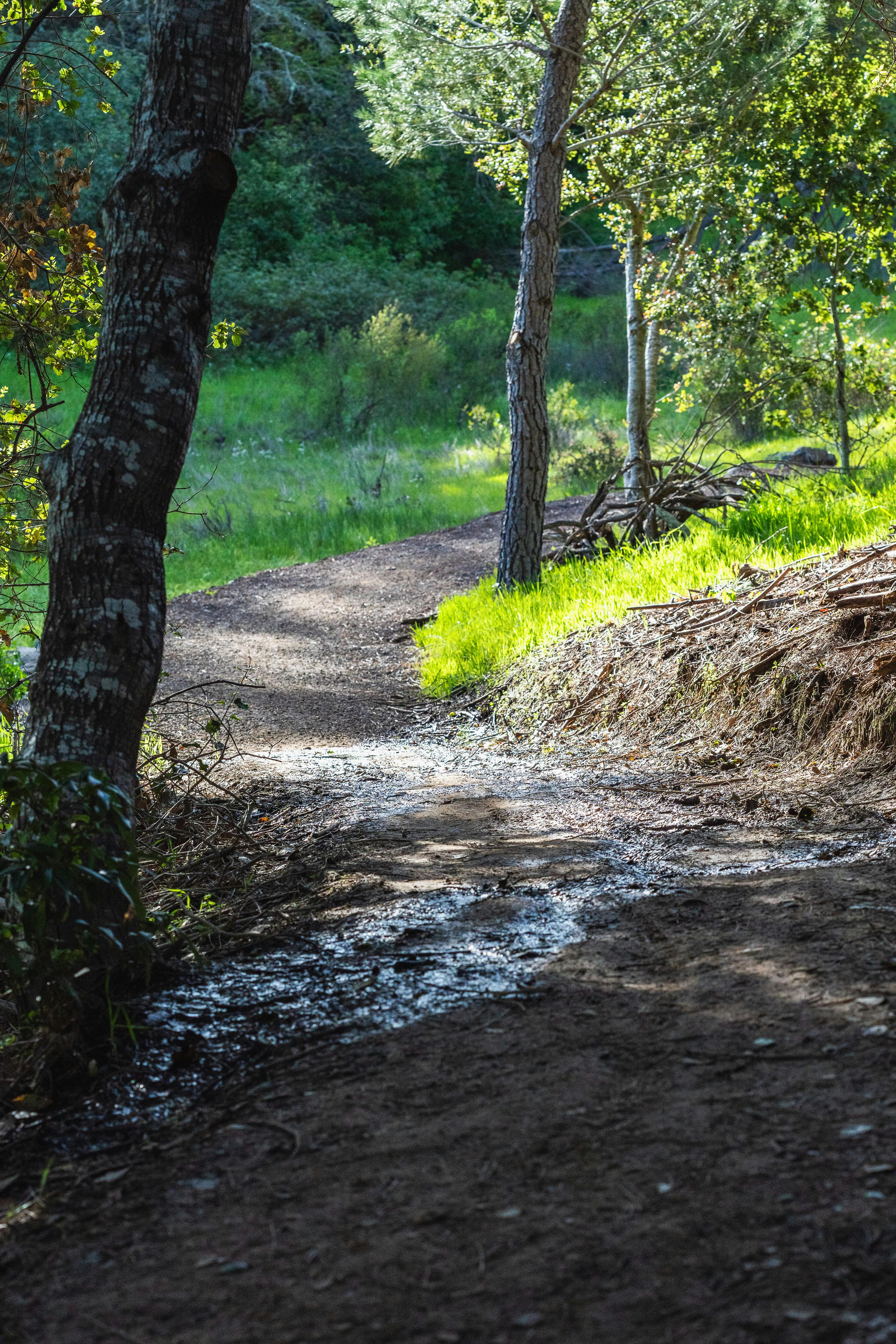 Aspiration Grow Path Photos, Download The BEST Free Aspiration Grow ...