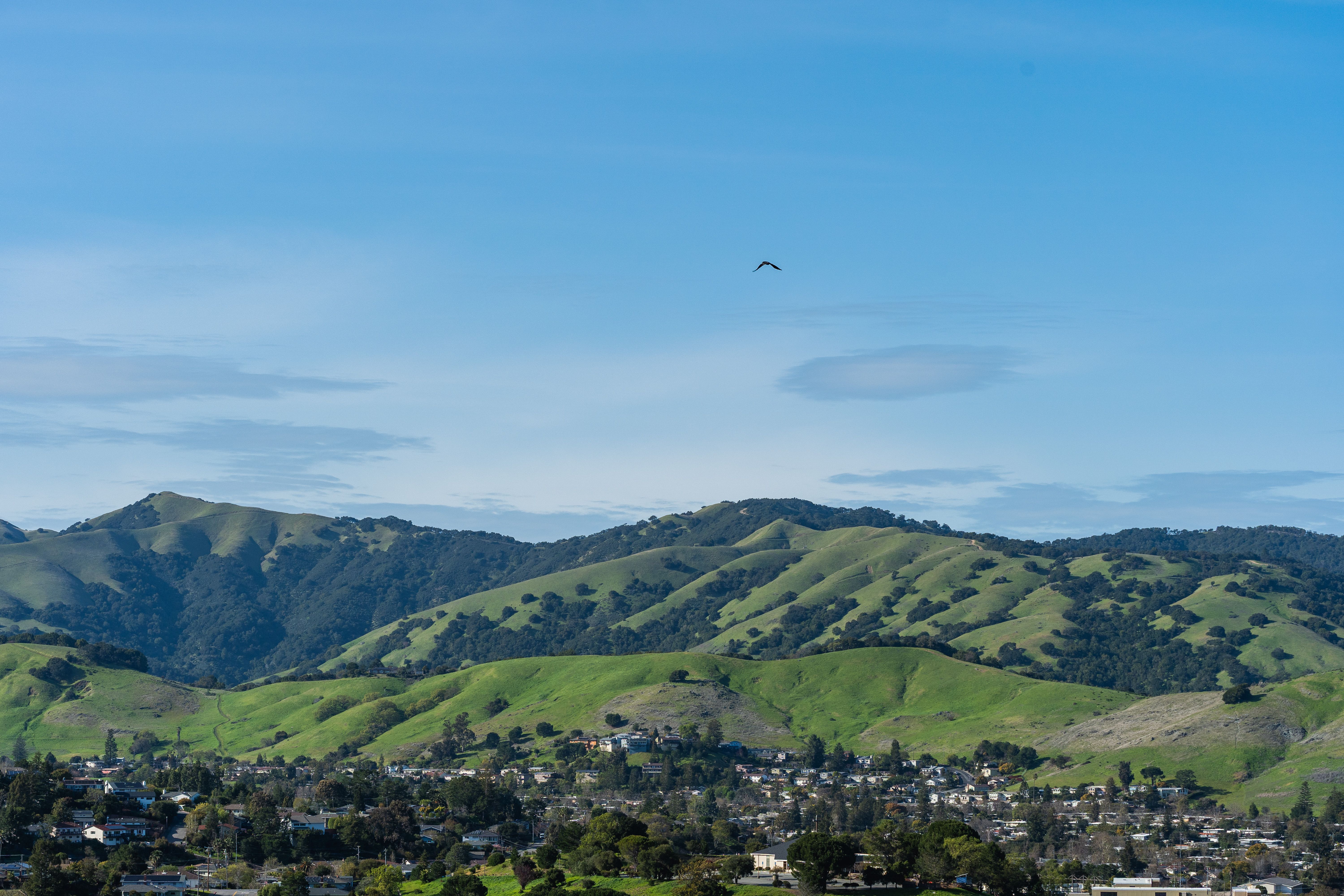 Somis California Photos, Download The BEST Free Somis California Stock ...