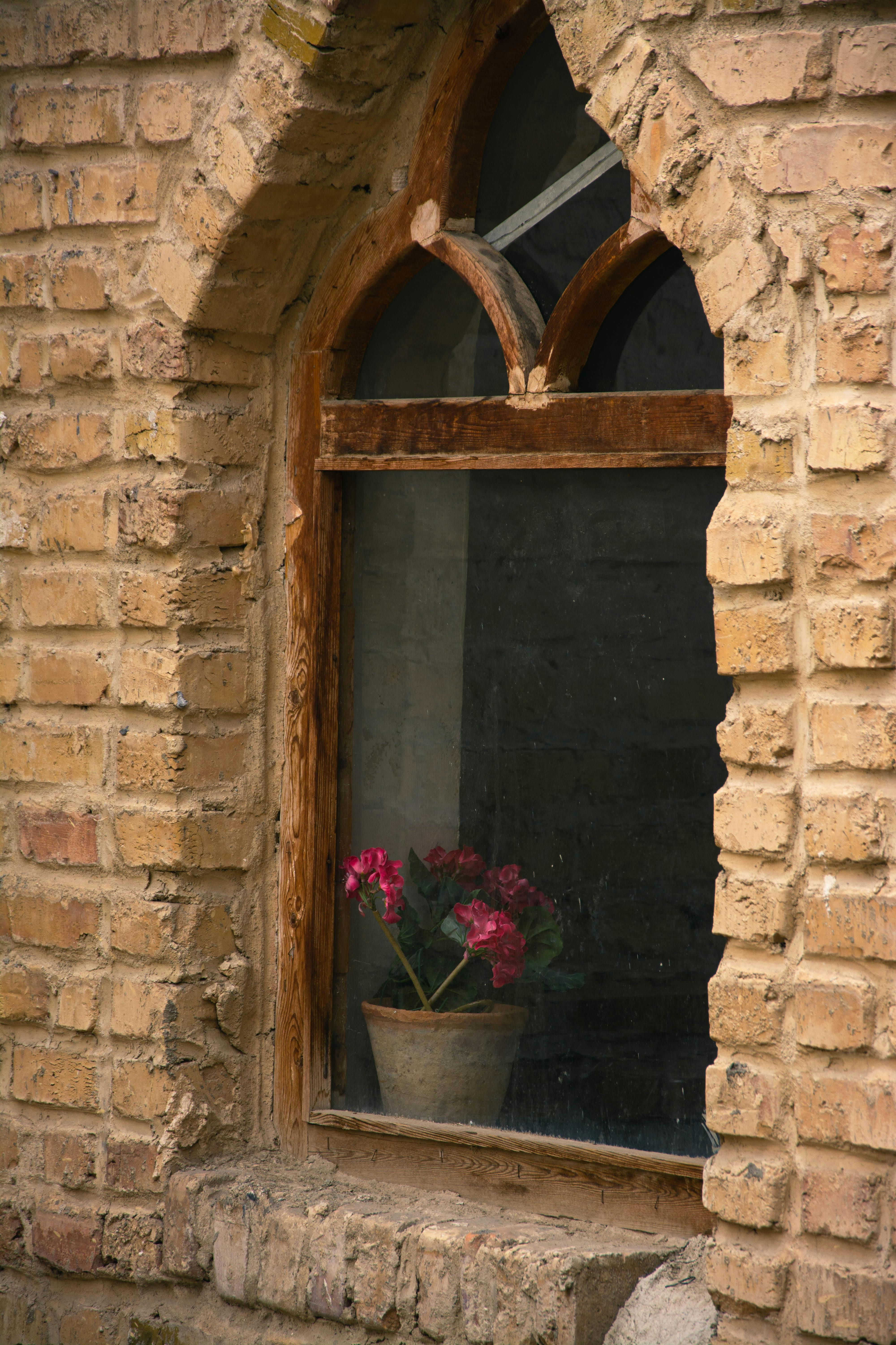 Brick Arch Window with Flower Pot in Tehran · Free Stock Photo