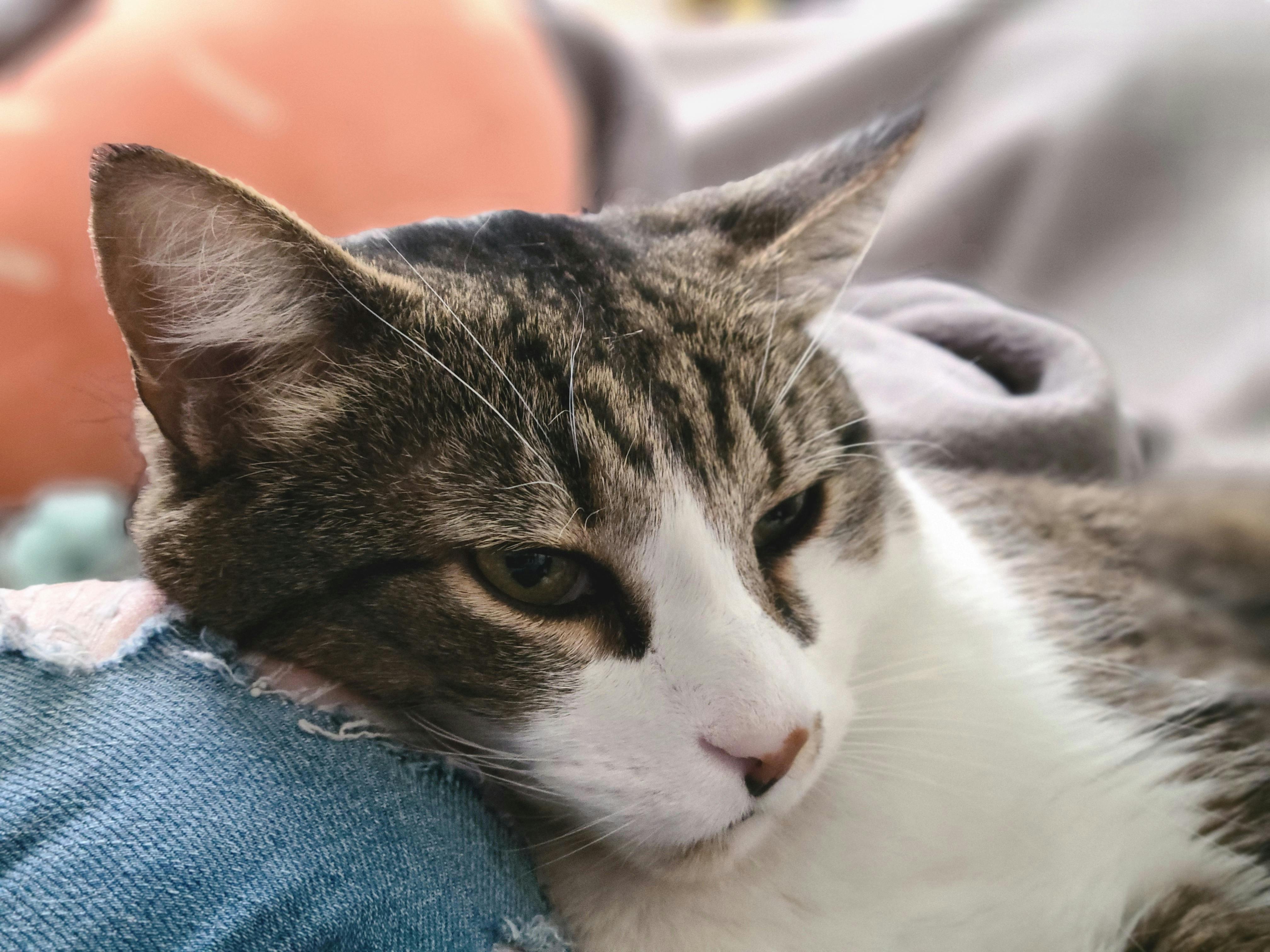 Savannah Beer - Photography