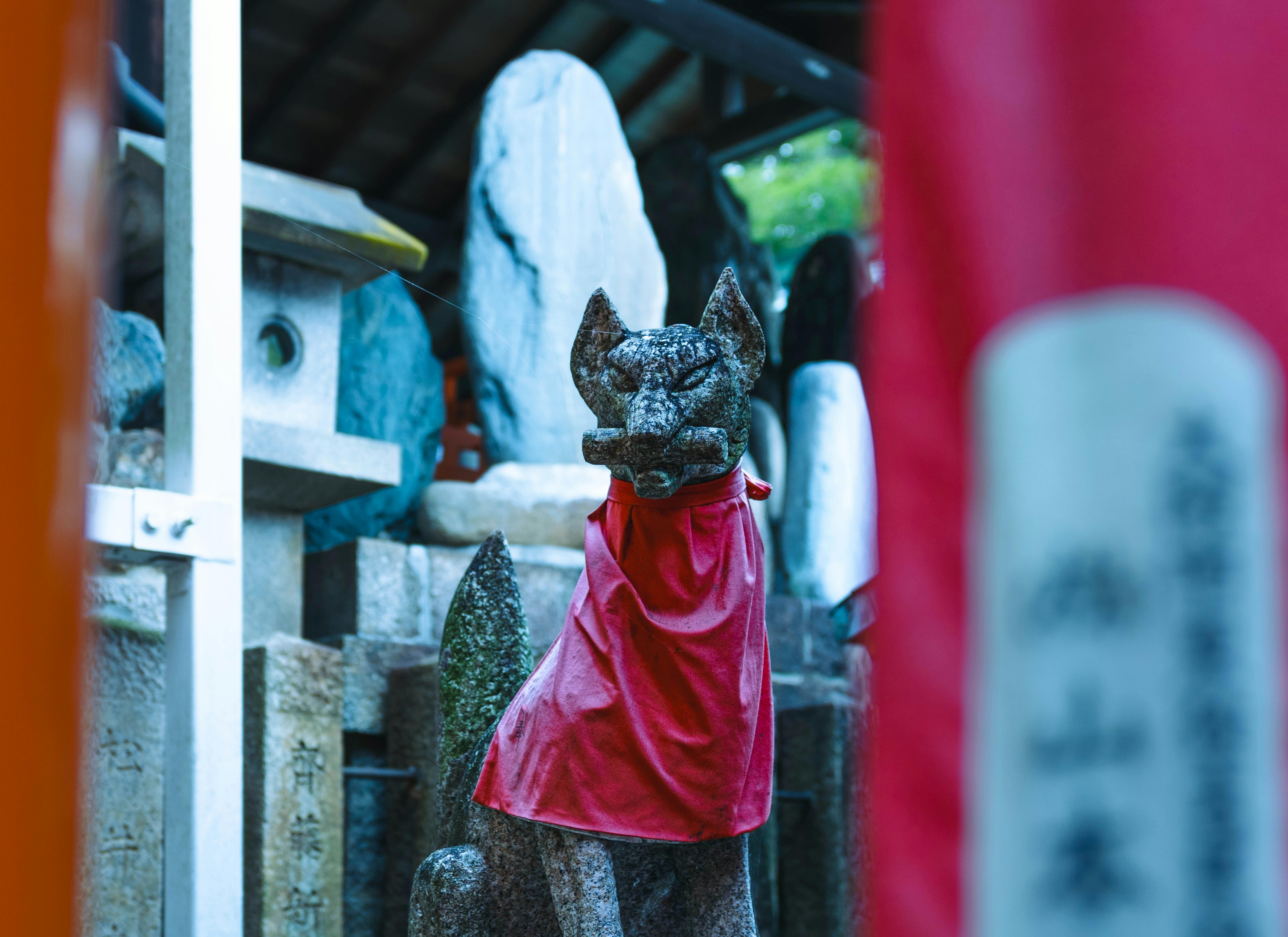 Edwin Fox Photos, Download The BEST Free Edwin Fox Stock Photos & HD Images