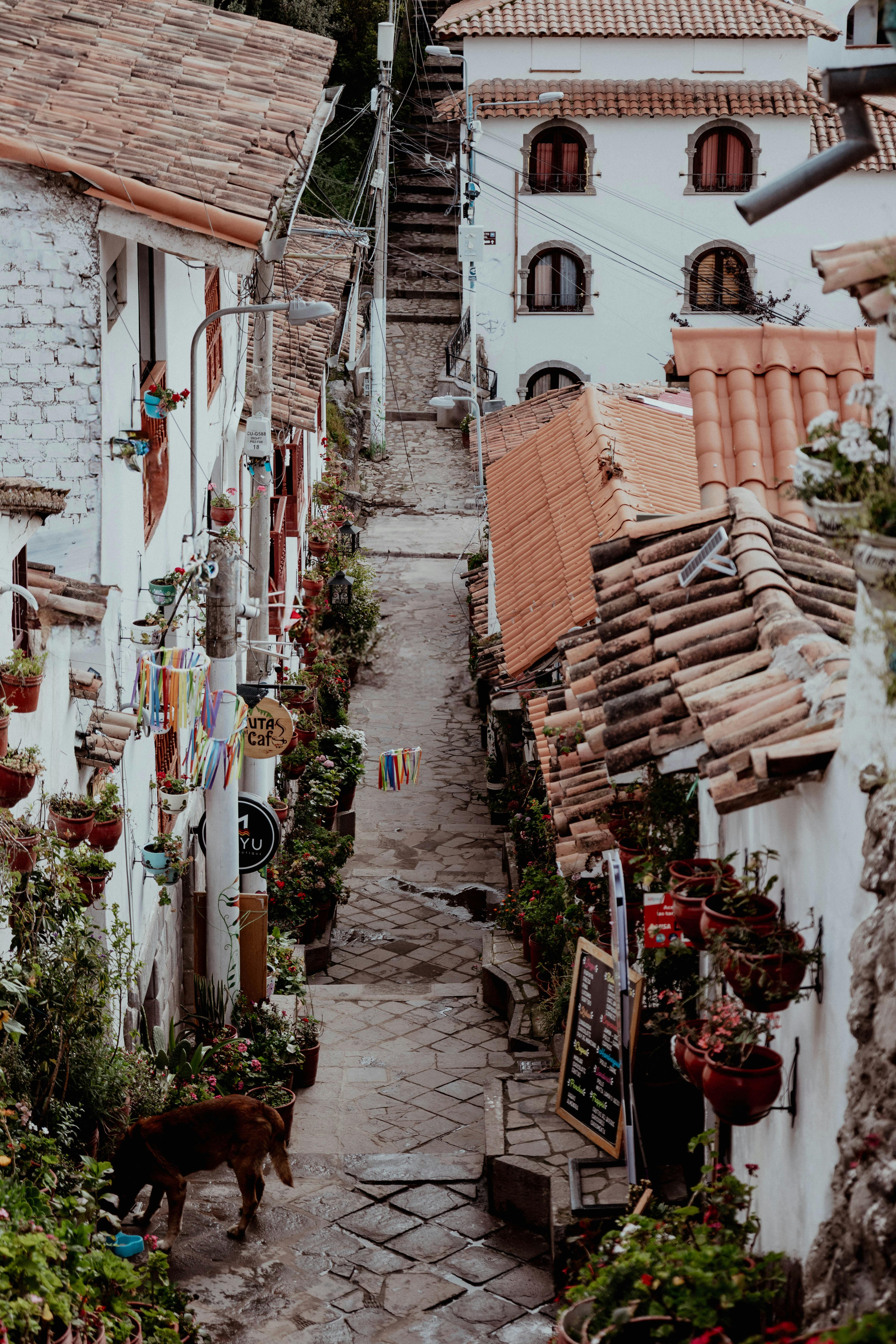 Charming Alleyway with Rustic Architecture · Free Stock Photo