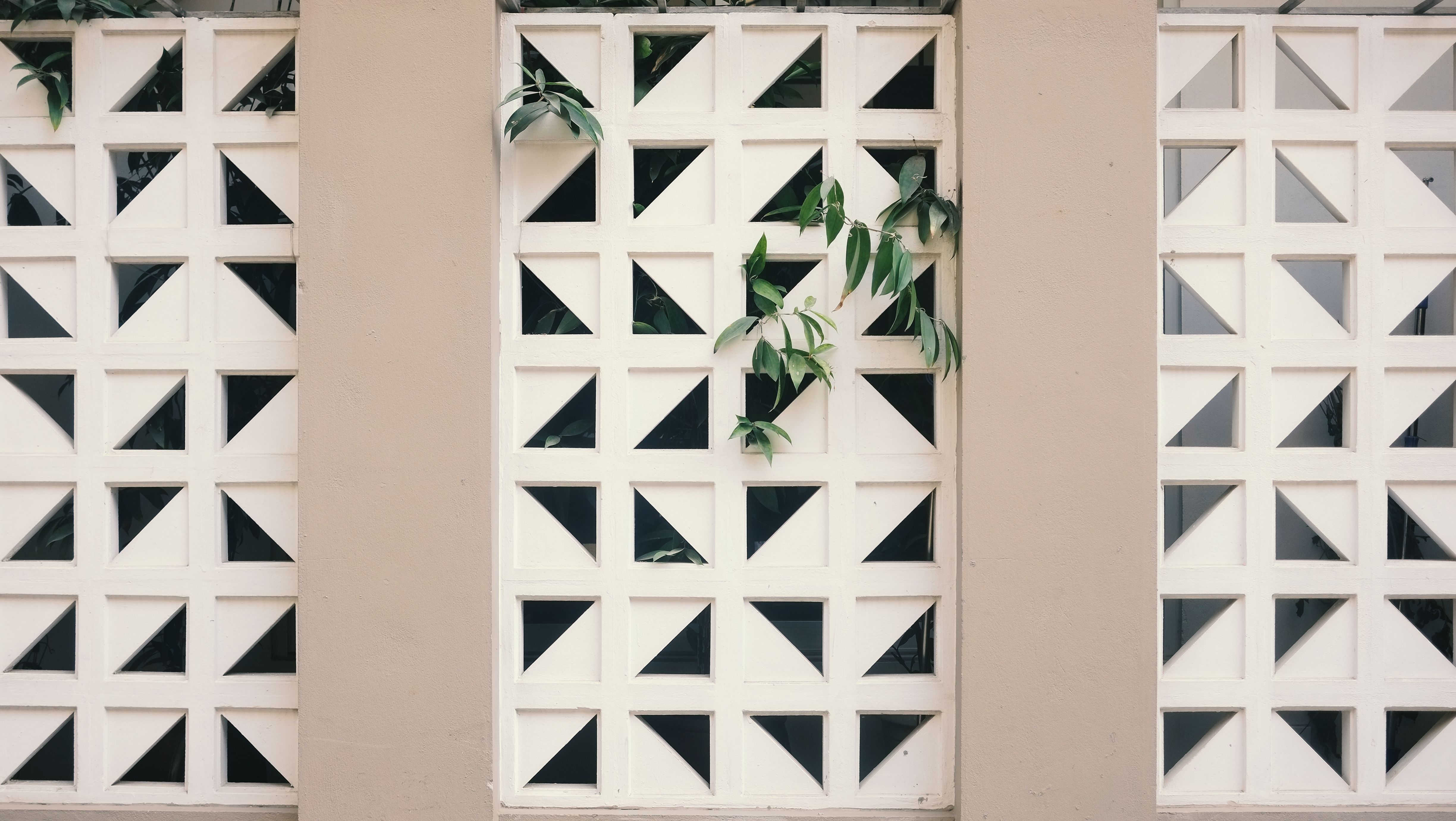 Geometric Exterior Wall with Leaf Details in Vietnam · Free Stock Photo