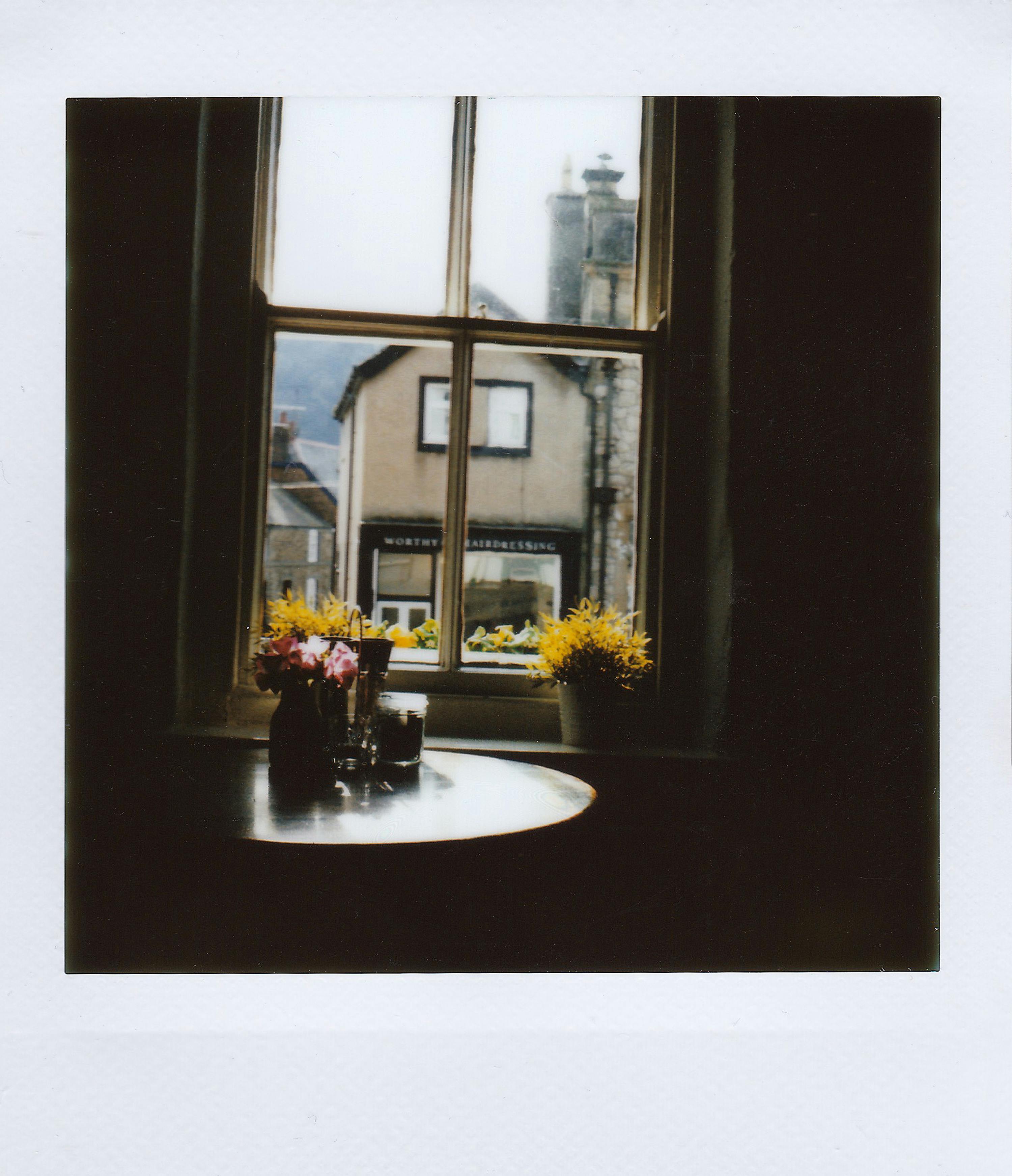 Cozy Window View with Flowers and Scenic Street · Free Stock Photo